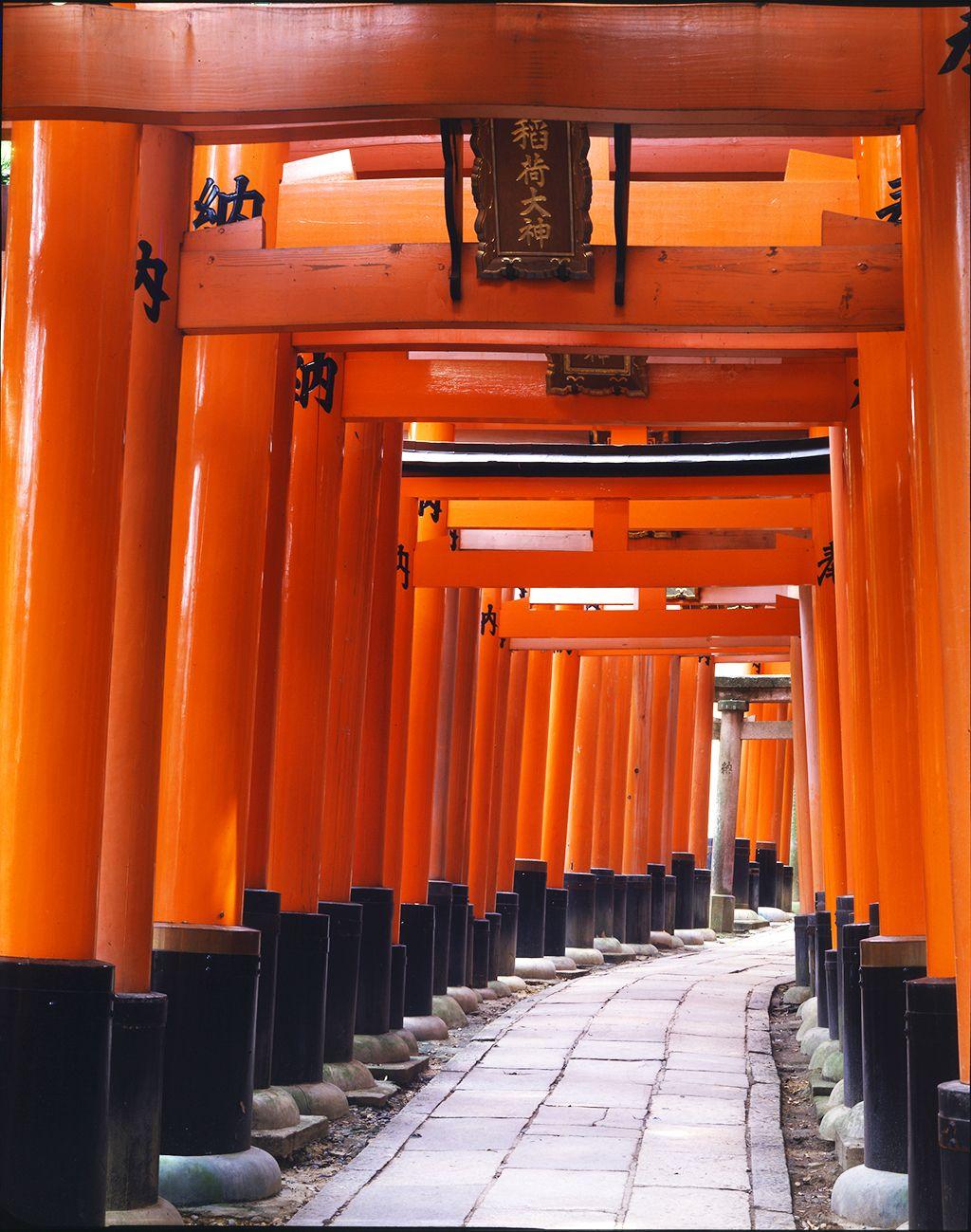Fushimi Inari Wallpapers - Top Free Fushimi Inari Backgrounds ...
