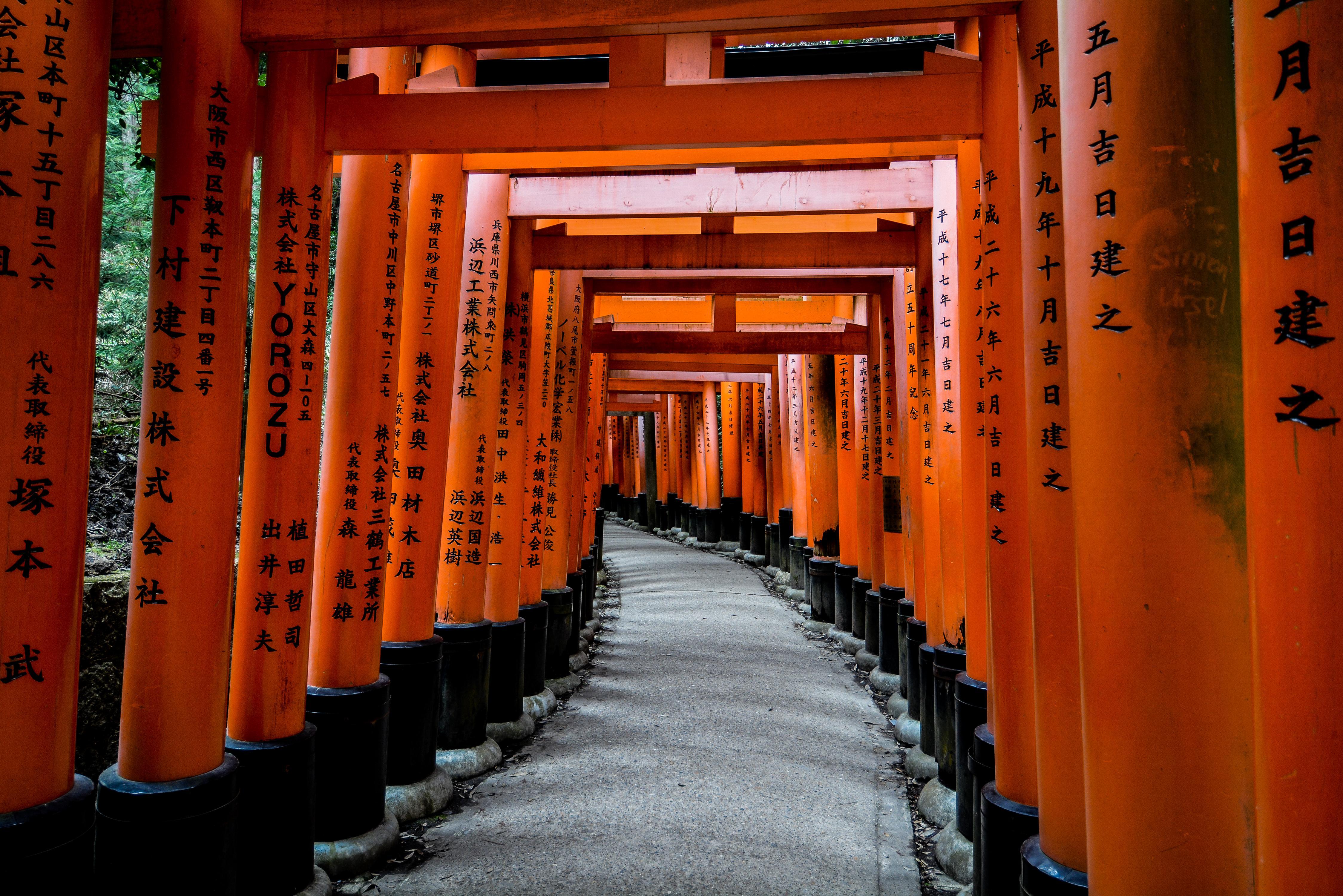 Fushimi Inari Wallpapers - Top Free Fushimi Inari Backgrounds ...