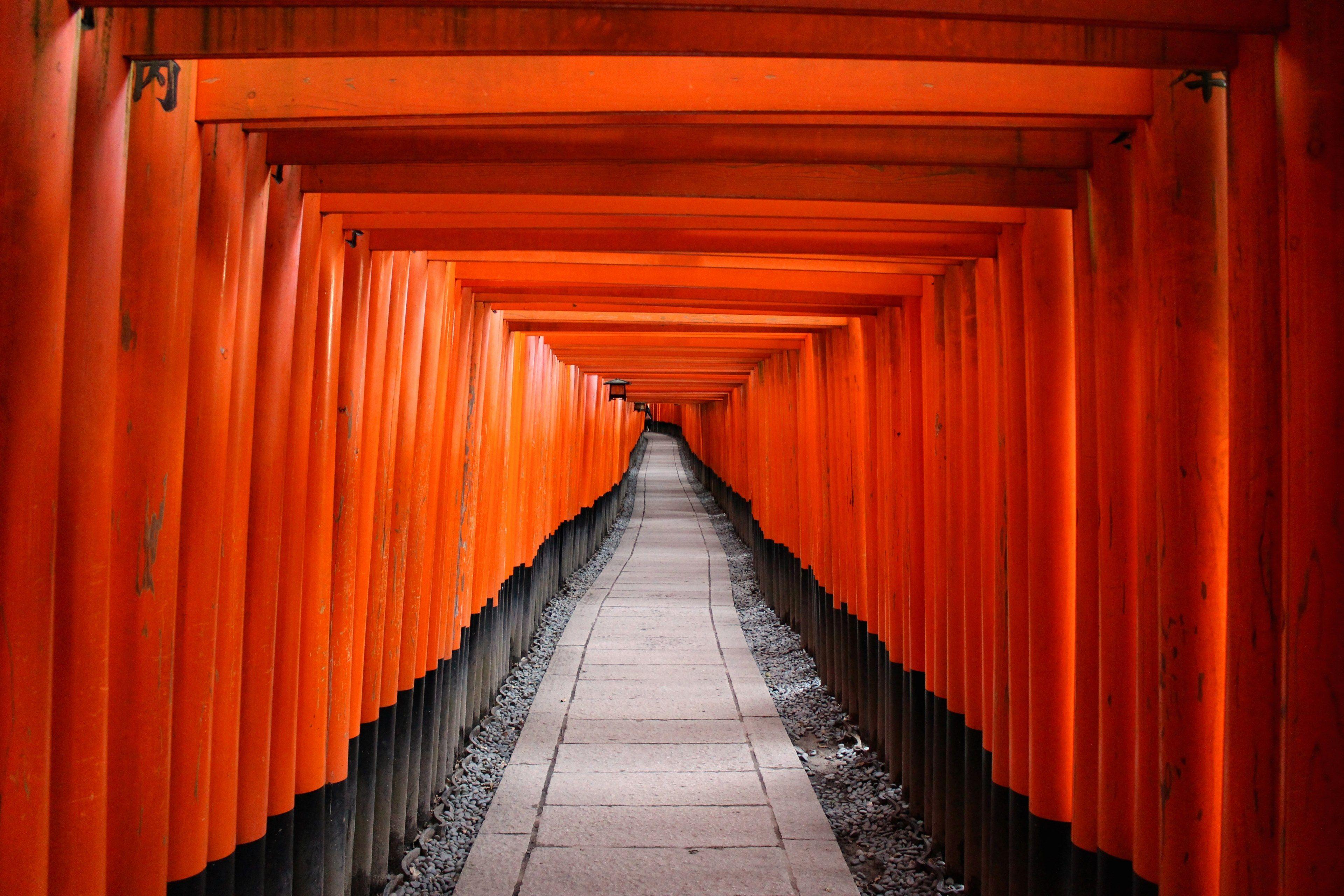 Fushimi Inari Wallpapers - Top Free Fushimi Inari Backgrounds ...