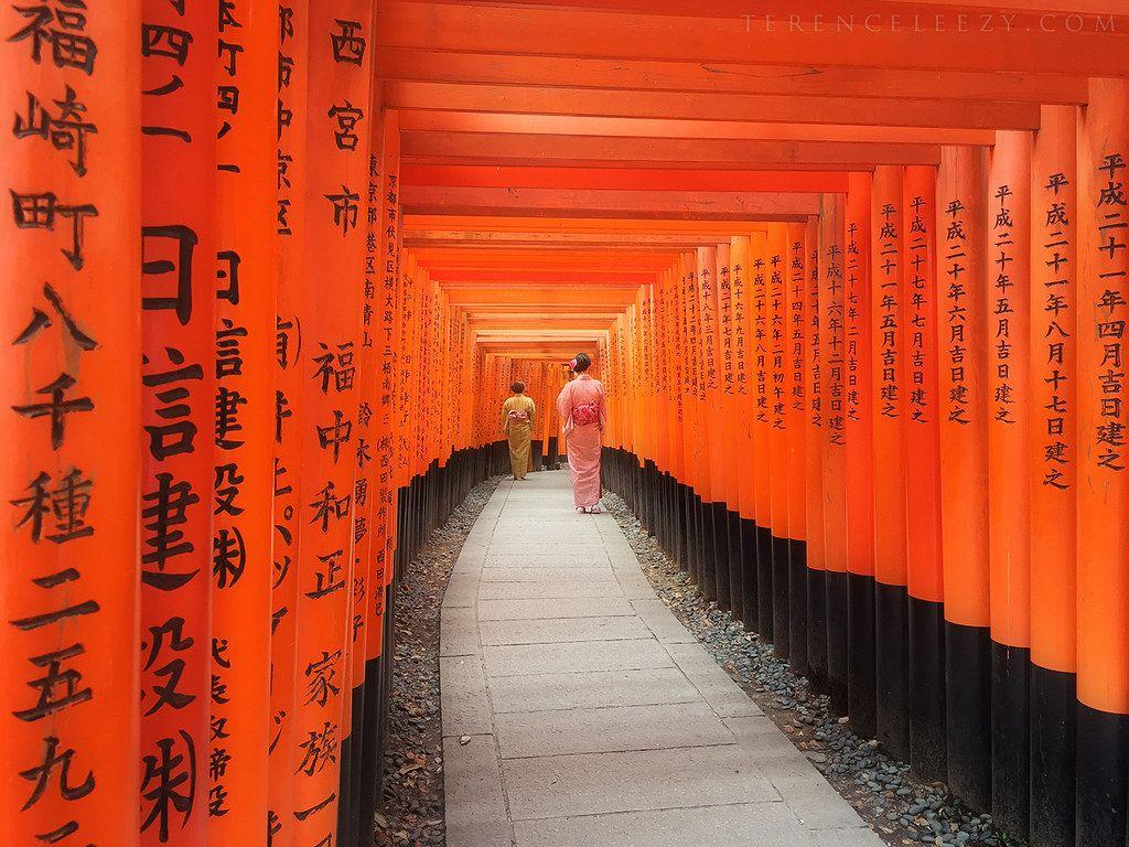 Fushimi Inari Wallpapers - Top Free Fushimi Inari Backgrounds ...