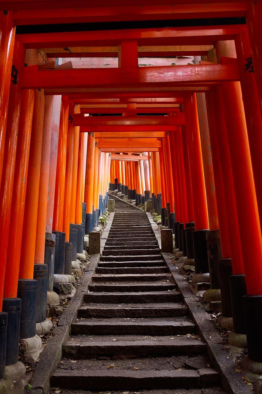 Fushimi Inari Wallpapers - Top Free Fushimi Inari Backgrounds ...