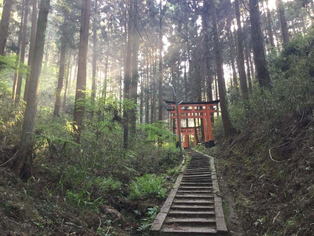 Fushimi Inari Wallpapers - Top Free Fushimi Inari Backgrounds ...