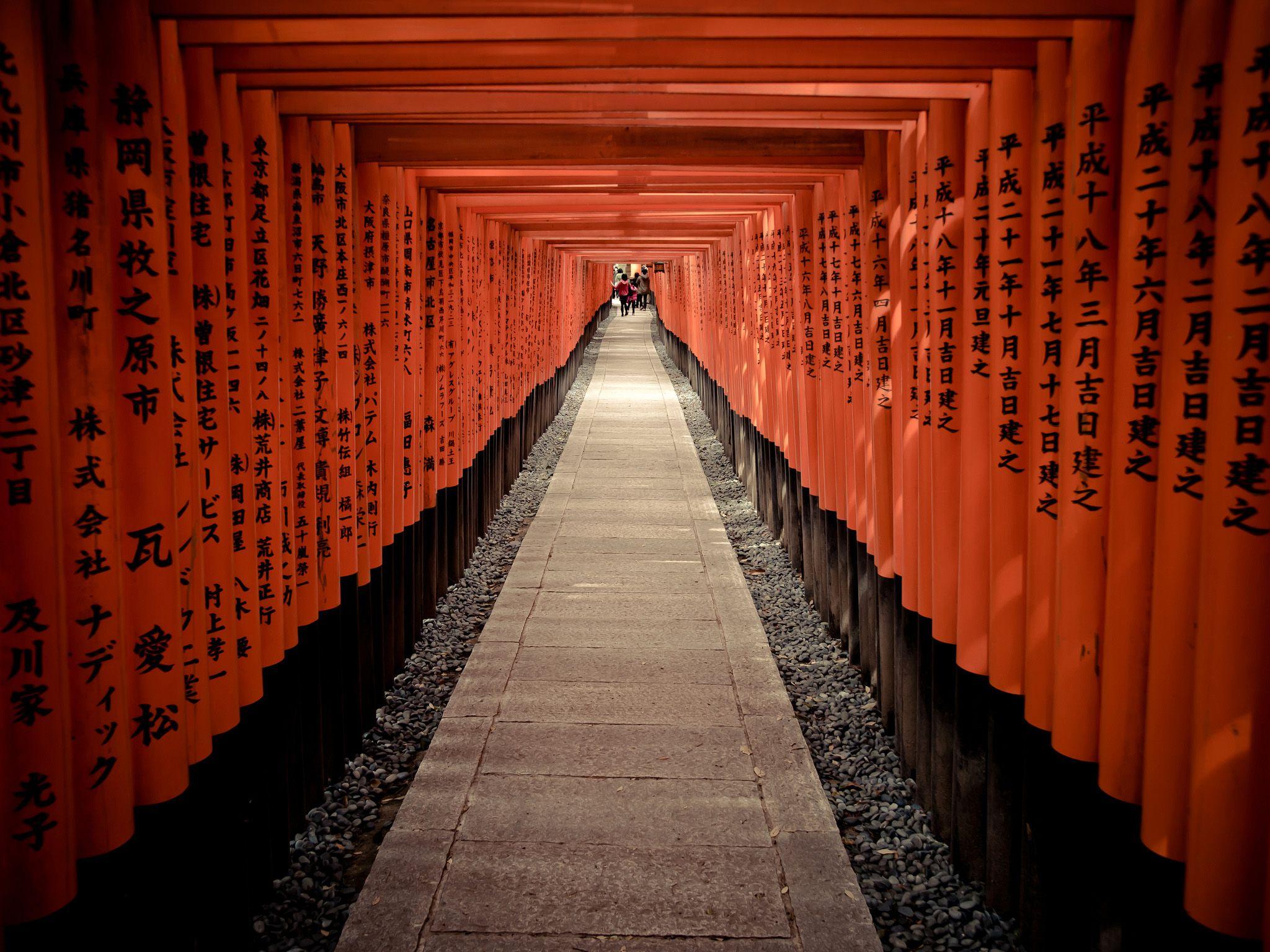 Fushimi Inari Wallpapers - Top Free Fushimi Inari Backgrounds ...