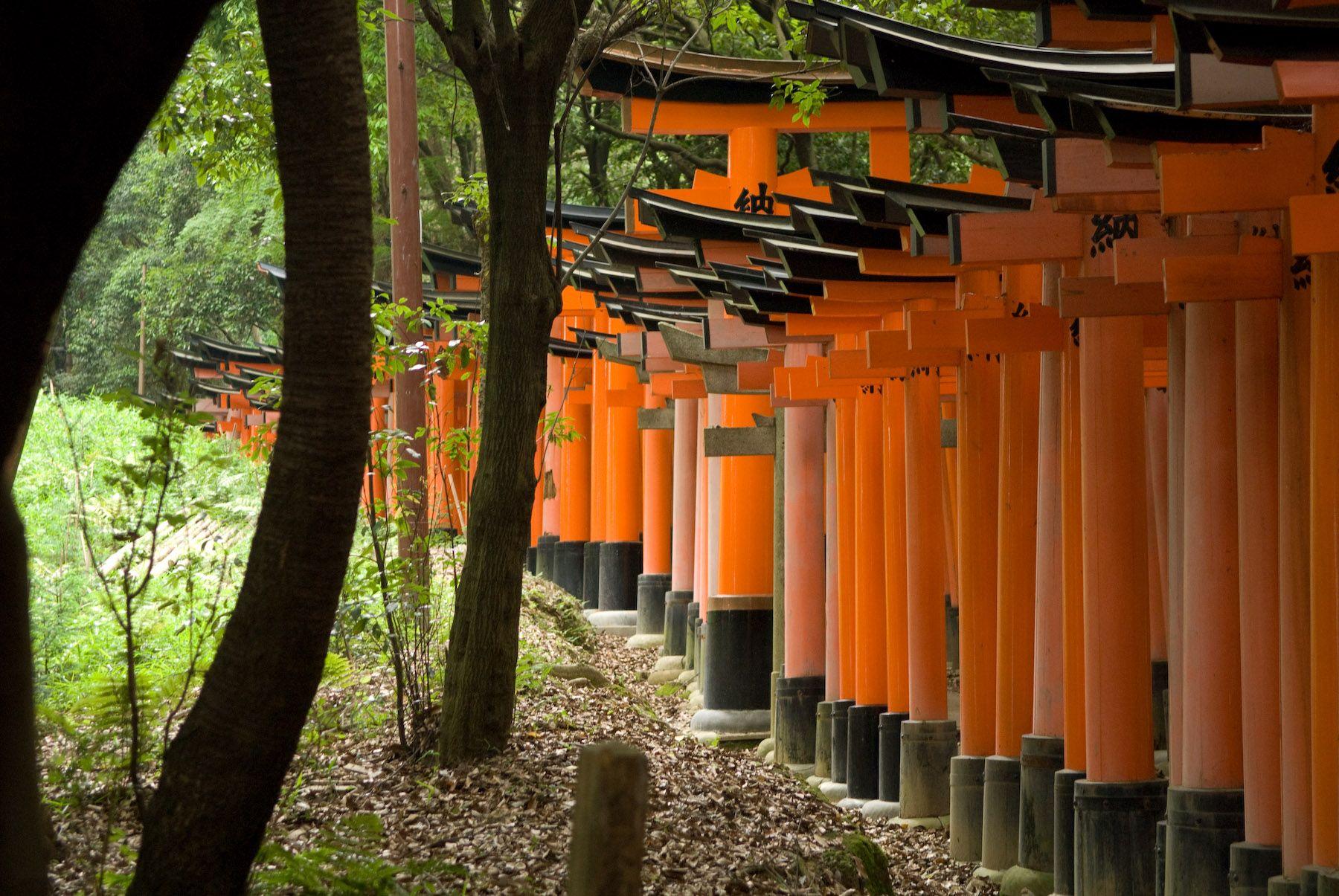 Fushimi Inari Wallpapers - Top Free Fushimi Inari Backgrounds ...