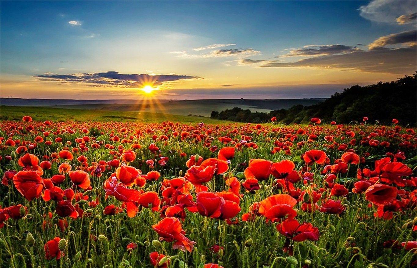 Bulgaria Scenery Wallpapers - Top Free Bulgaria Scenery Backgrounds ...