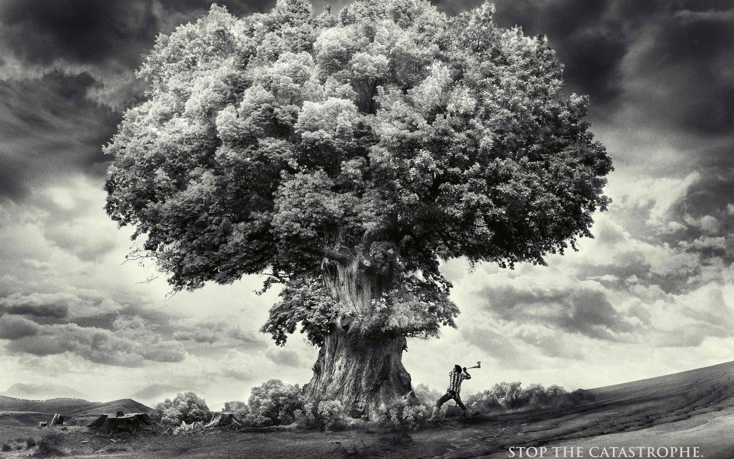 Catastrophe Planet Wallpapers - Top Free Catastrophe Planet Backgrounds ...