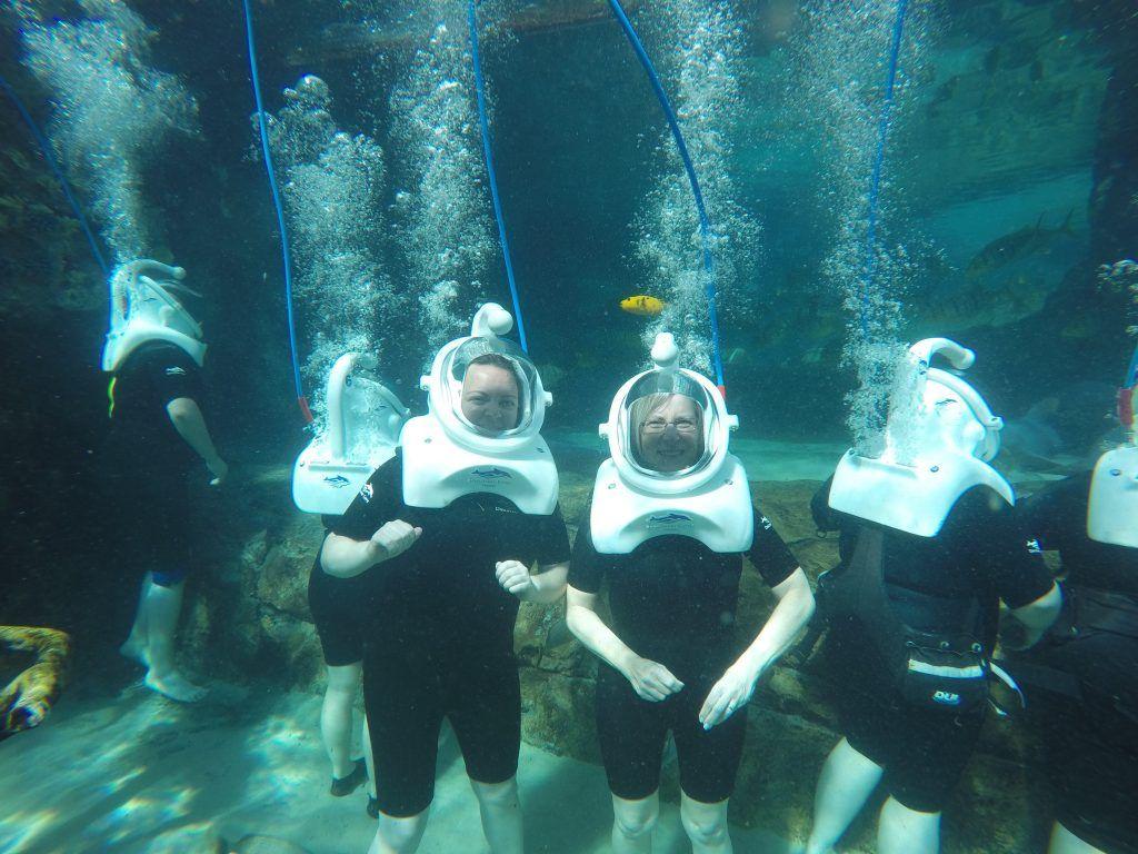 Underwater Sea Walk Wallpapers - Top Free Underwater Sea Walk ...