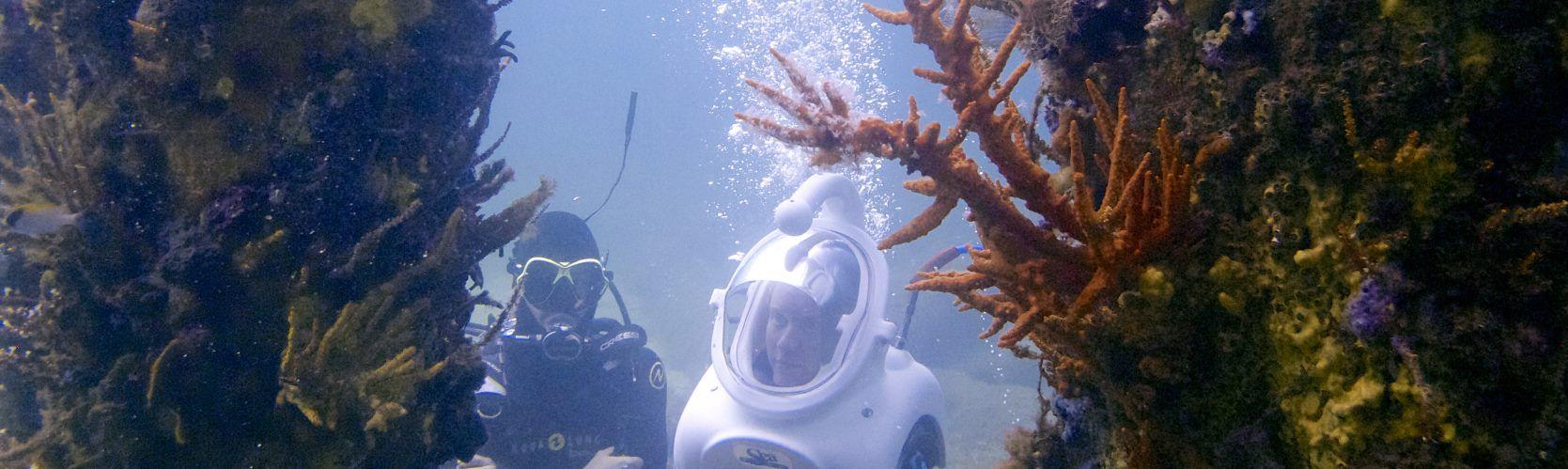 Underwater Sea Walk Wallpapers - Top Free Underwater Sea Walk ...