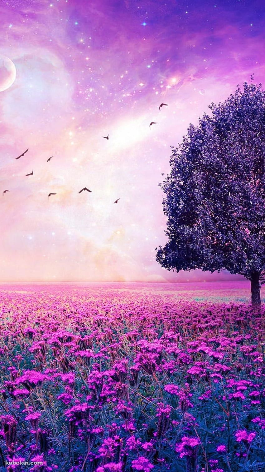Purple Garden Wallpapers - Top Free Purple Garden Backgrounds ...