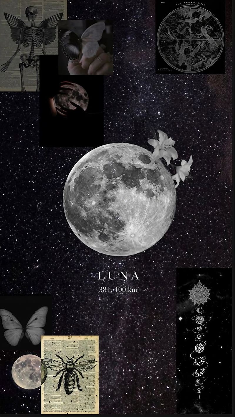 Moon Collage Wallpapers - Top Free Moon Collage Backgrounds ...