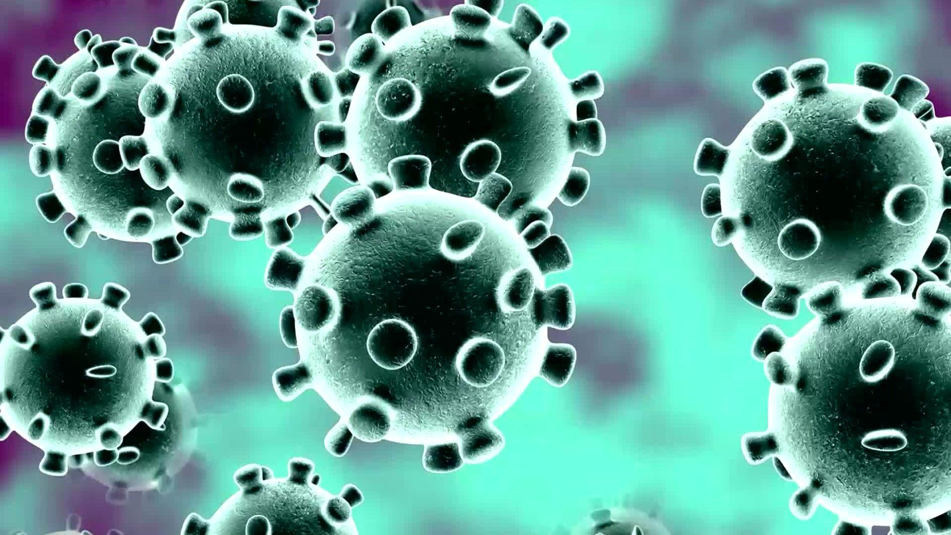 Coronavirus HD Wallpapers - Top Free Coronavirus HD Backgrounds ...
