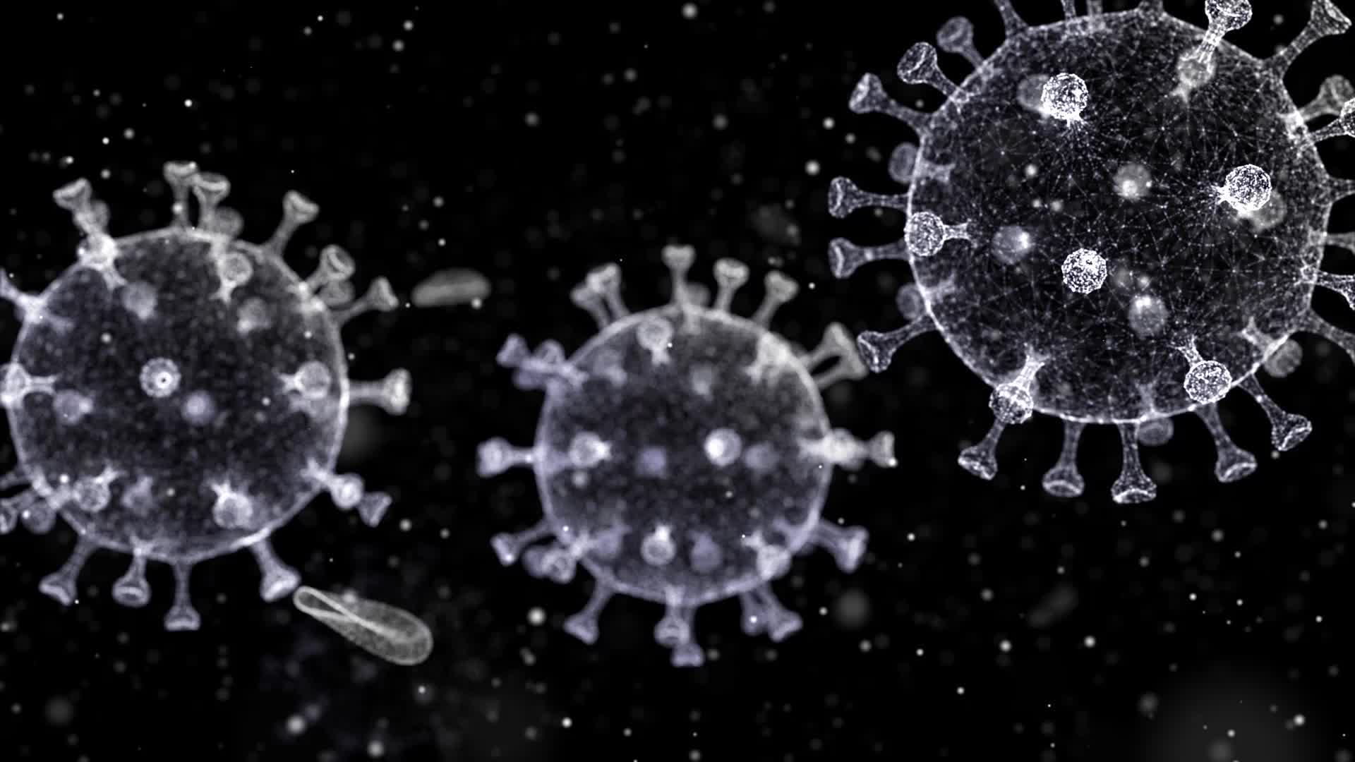Coronavirus HD Wallpapers - Top Free Coronavirus HD Backgrounds ...