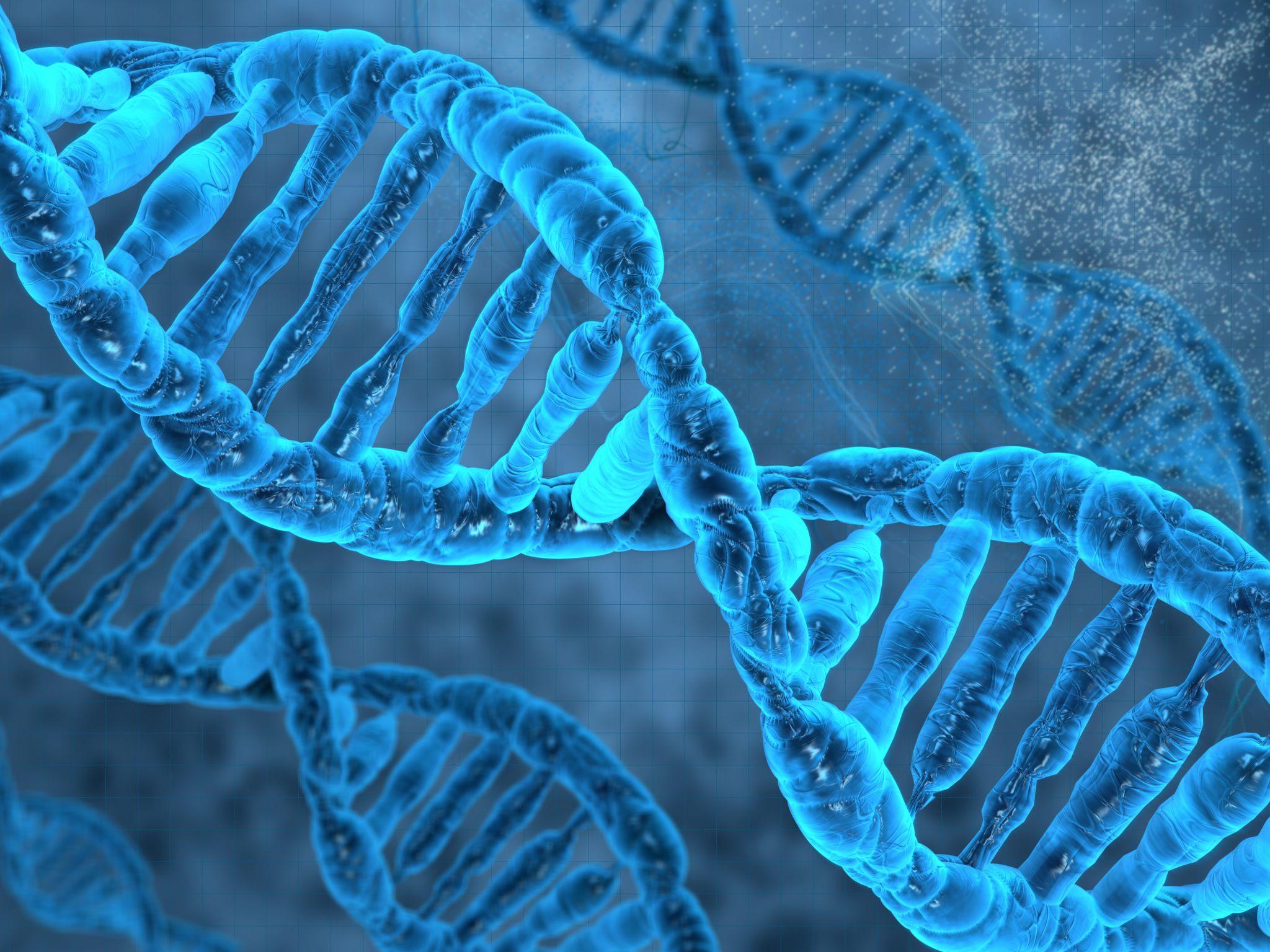 Human Biology Wallpapers - Top Free Human Biology Backgrounds ...