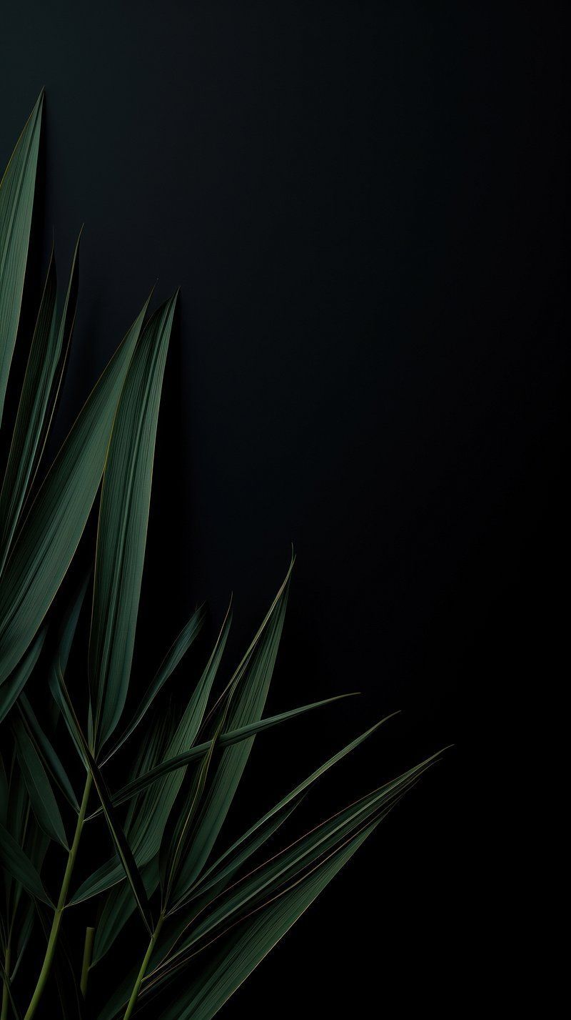 Dark Mode Mobile Wallpapers - Top Free Dark Mode Mobile Backgrounds ...