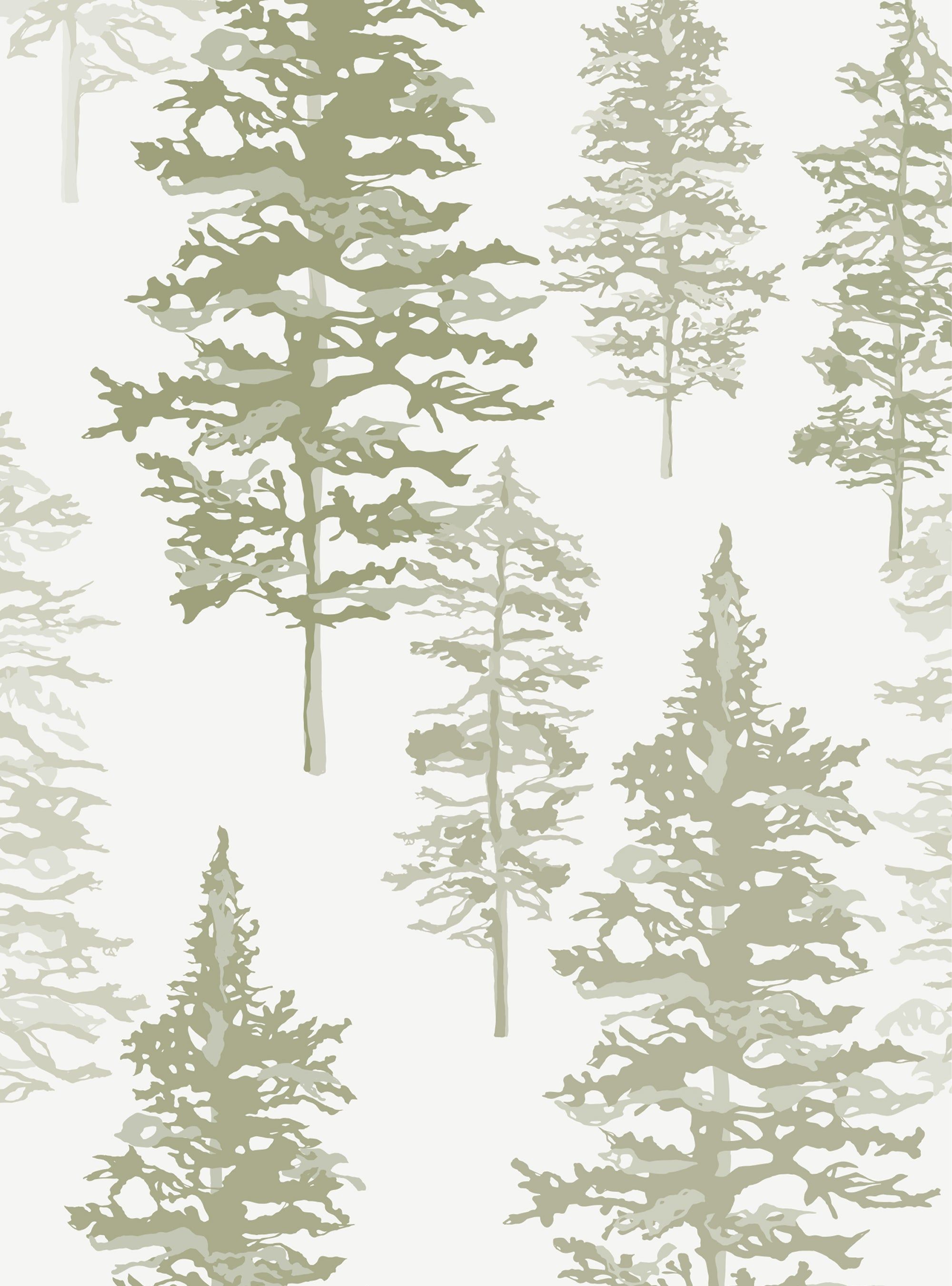 Evergreen Trees Wallpapers - Top Free Evergreen Trees Backgrounds ...