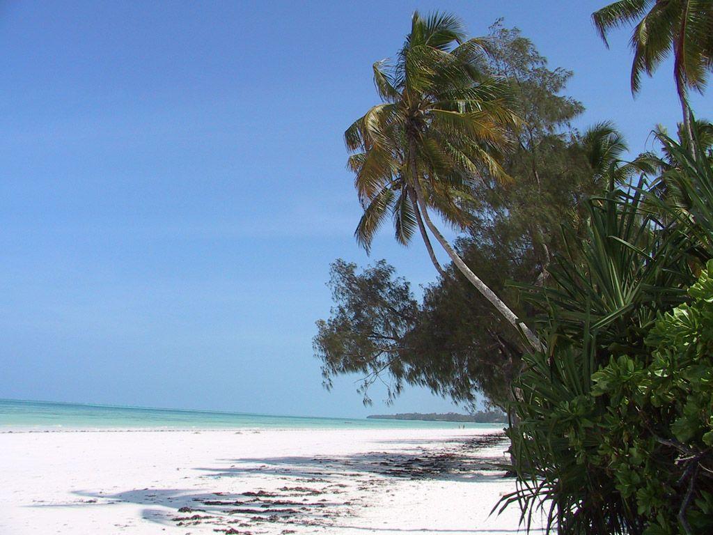 Zanzibar Wallpapers - Top Free Zanzibar Backgrounds - WallpaperAccess