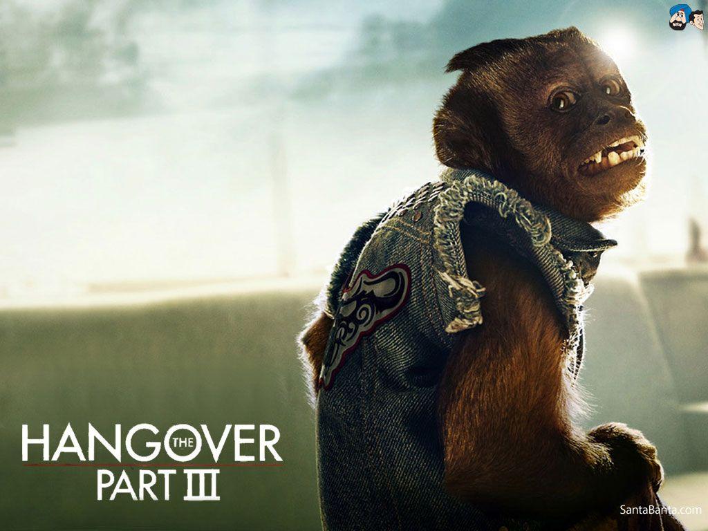 The Hangover Wallpapers - Top Free The Hangover Backgrounds ...