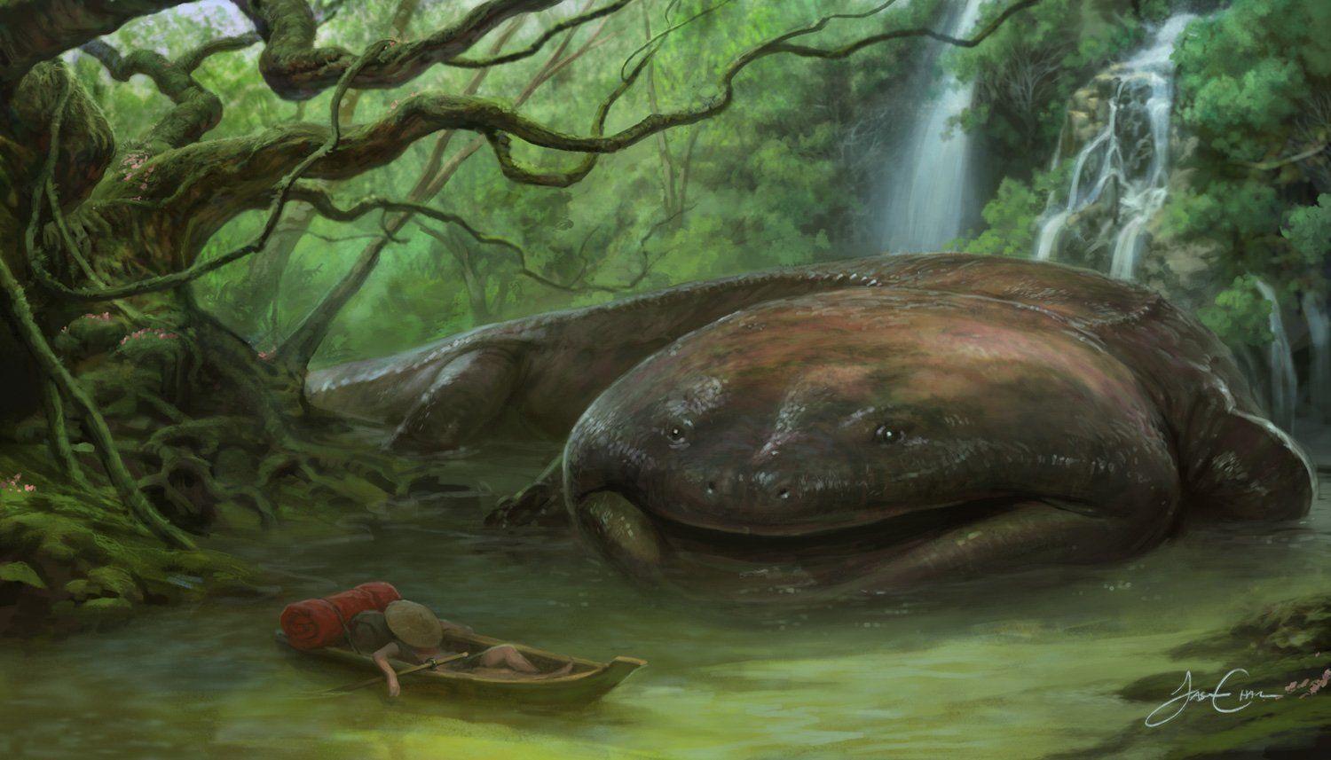 Salamander Wallpapers - Top Free Salamander Backgrounds - WallpaperAccess