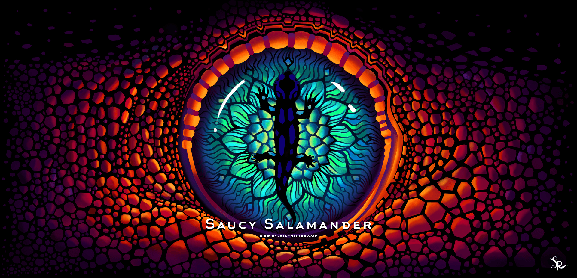 Salamander Wallpapers - Top Free Salamander Backgrounds - WallpaperAccess