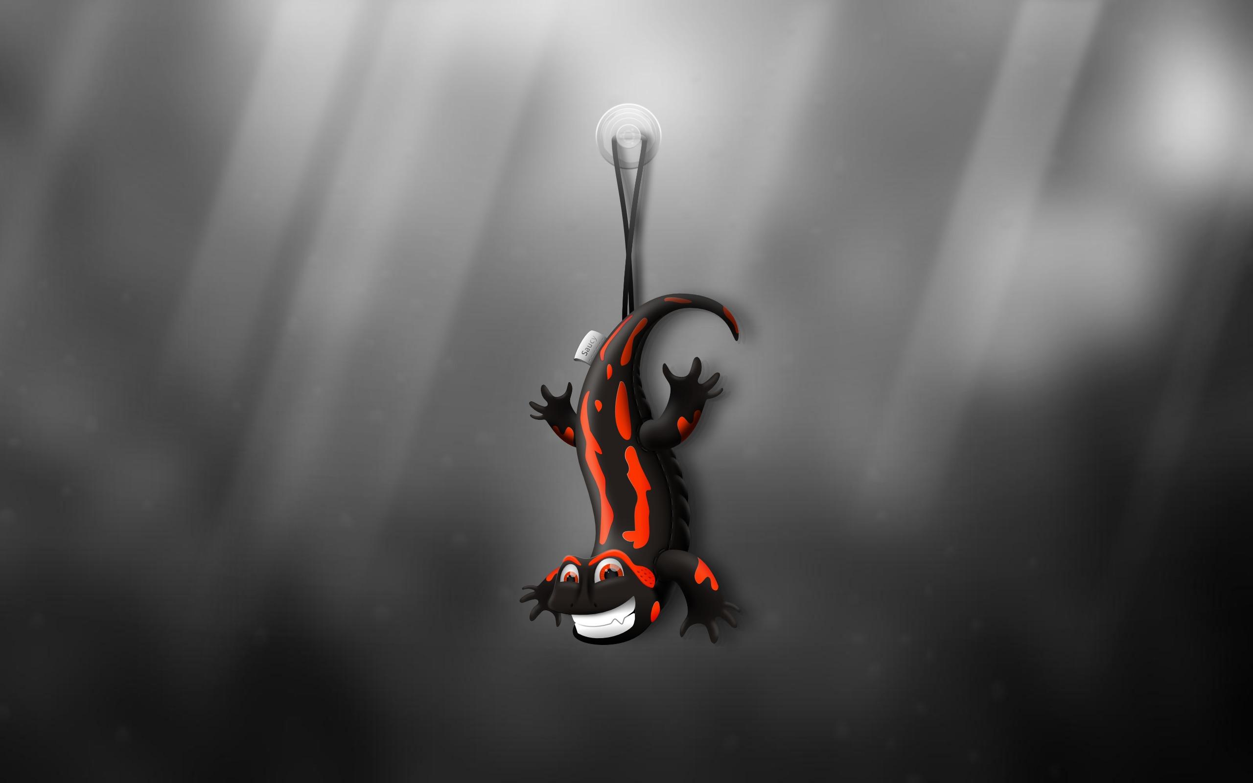 Salamander Wallpapers - Top Free Salamander Backgrounds - WallpaperAccess
