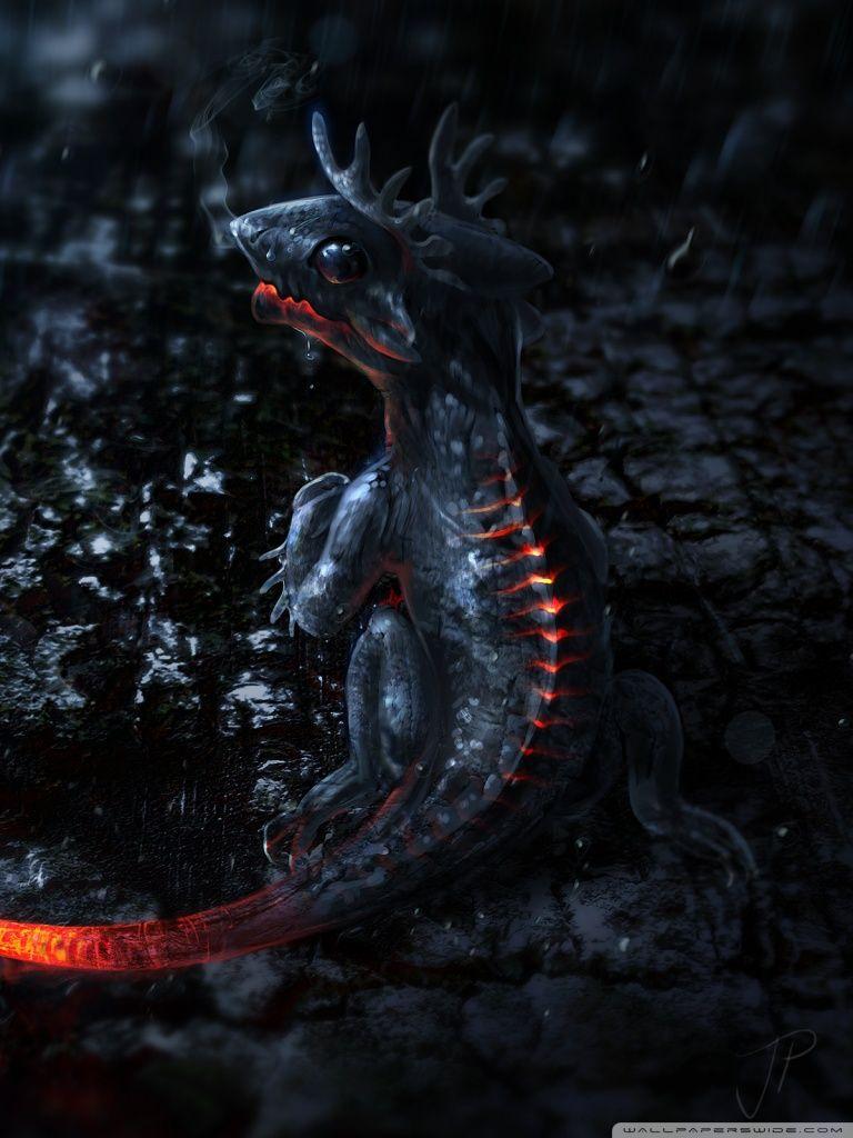 Salamander Wallpapers - Top Free Salamander Backgrounds - WallpaperAccess