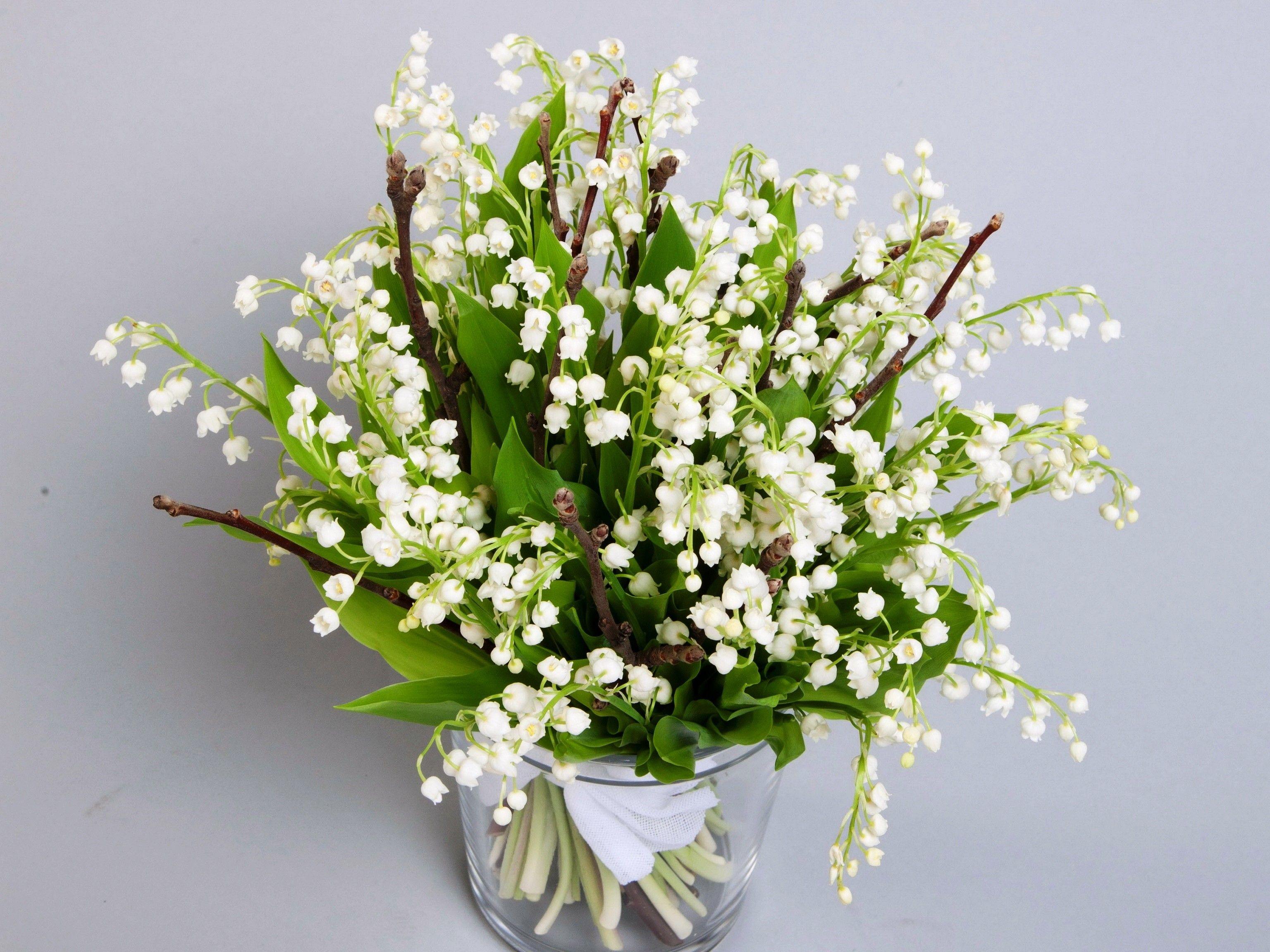 Spring Bouquet Wallpapers - Top Free Spring Bouquet Backgrounds ...