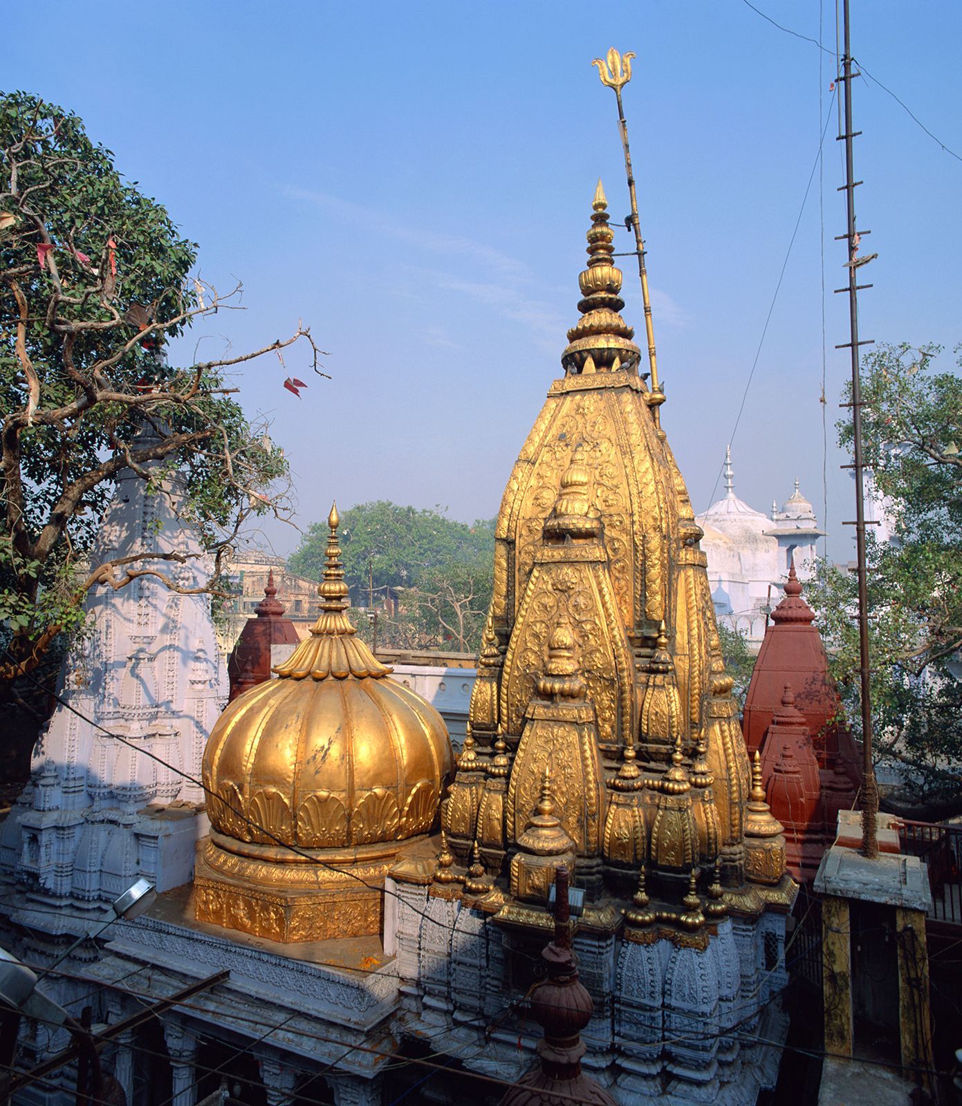 Kashi Vishwanath Temple Wallpapers - Top Free Kashi Vishwanath Temple ...