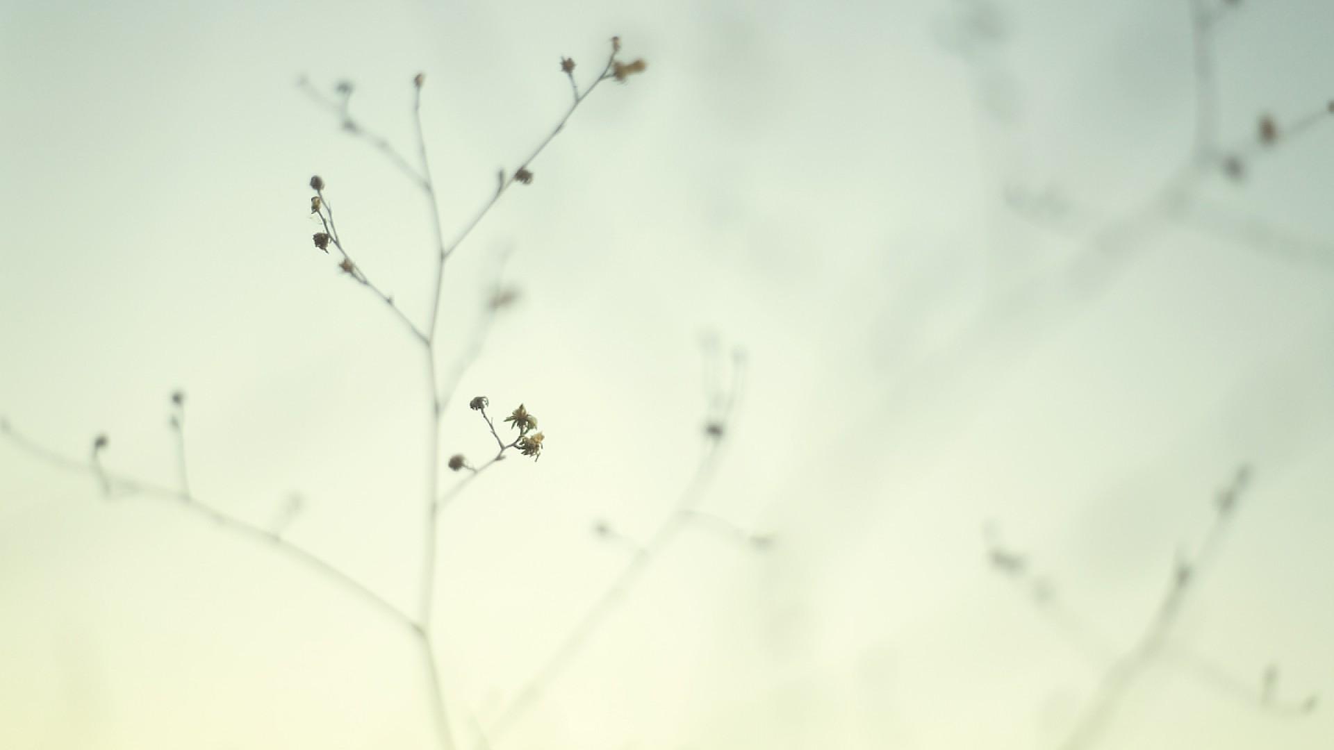 Spring Minimalist Wallpapers - Top Free Spring Minimalist Backgrounds ...