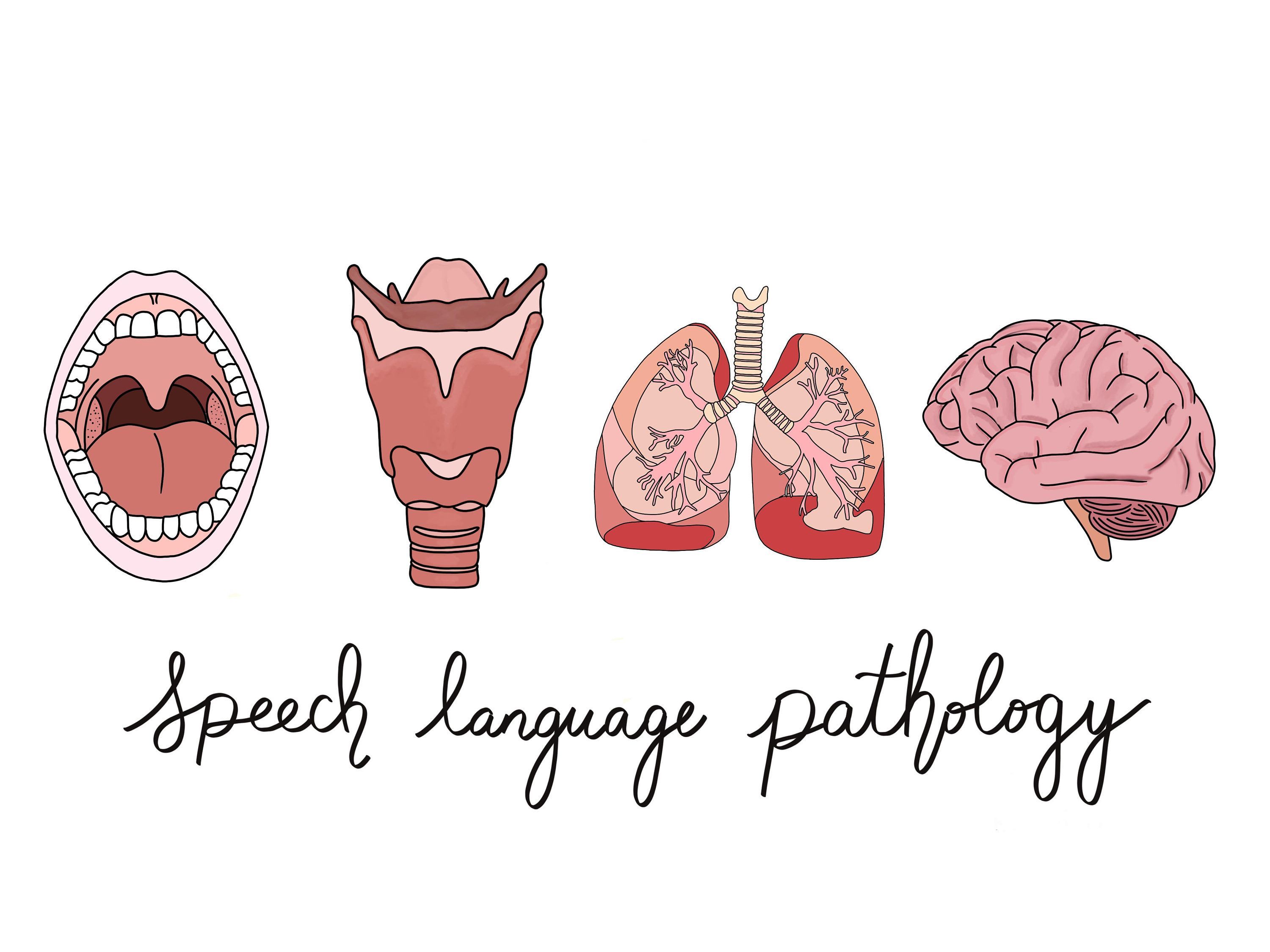 SLP Wallpapers - Top Free SLP Backgrounds - WallpaperAccess