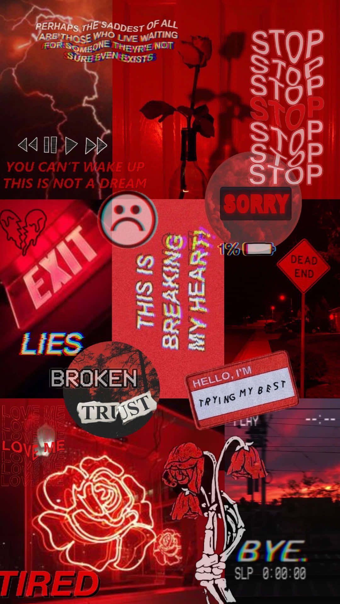 SLP Wallpapers - Top Free SLP Backgrounds - WallpaperAccess