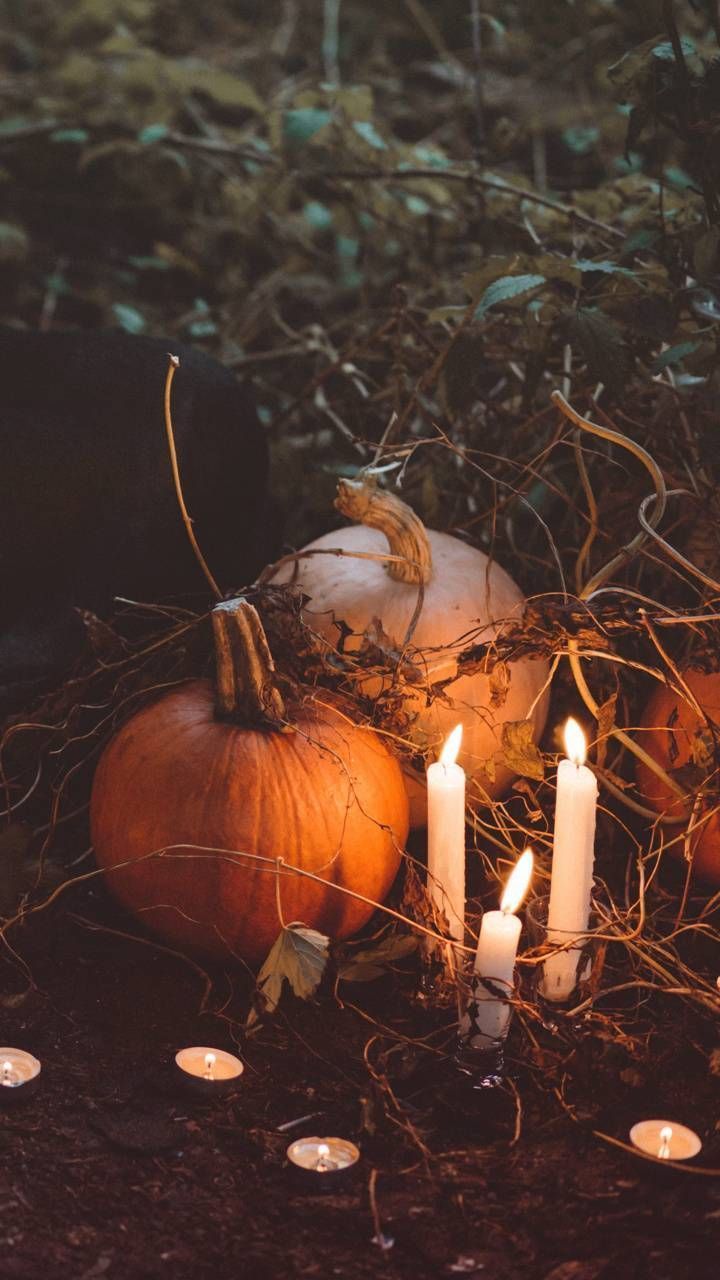Spooky Fall Wallpapers - Top Free Spooky Fall Backgrounds - WallpaperAccess