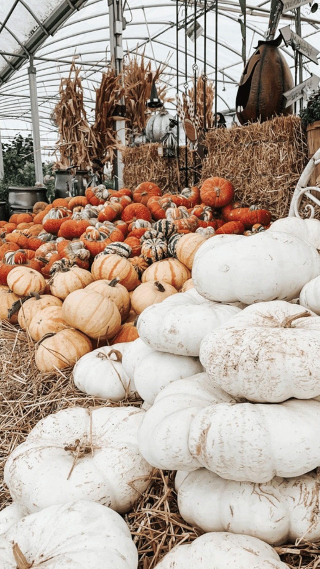 Spooky Fall Wallpapers - Top Free Spooky Fall Backgrounds - WallpaperAccess