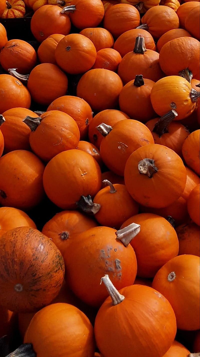 Spooky Fall Wallpapers - Top Free Spooky Fall Backgrounds - WallpaperAccess