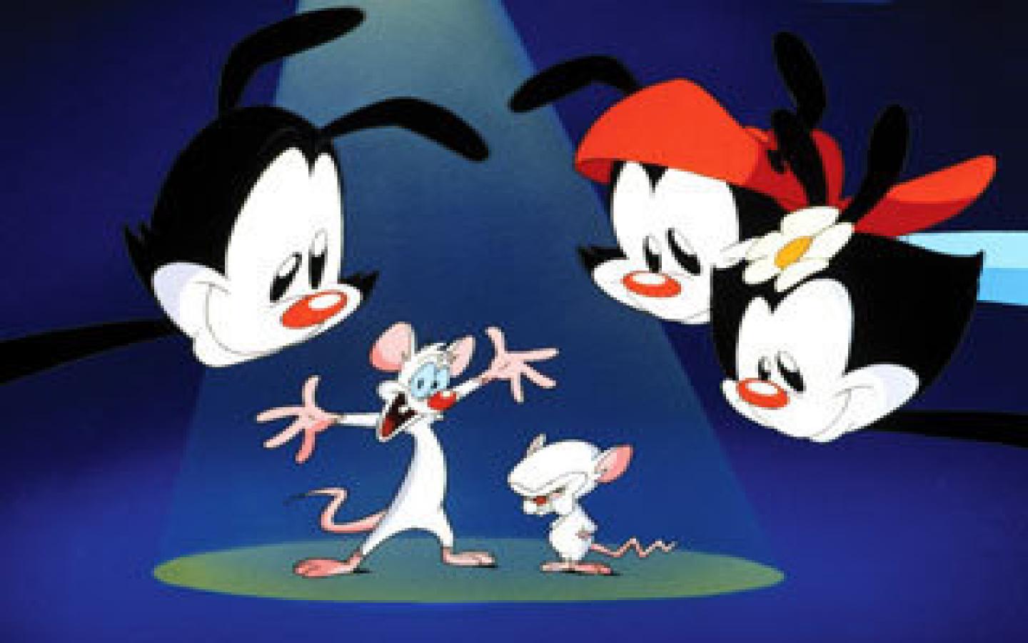 Animaniacs Wallpapers - Top Free Animaniacs Backgrounds - WallpaperAccess