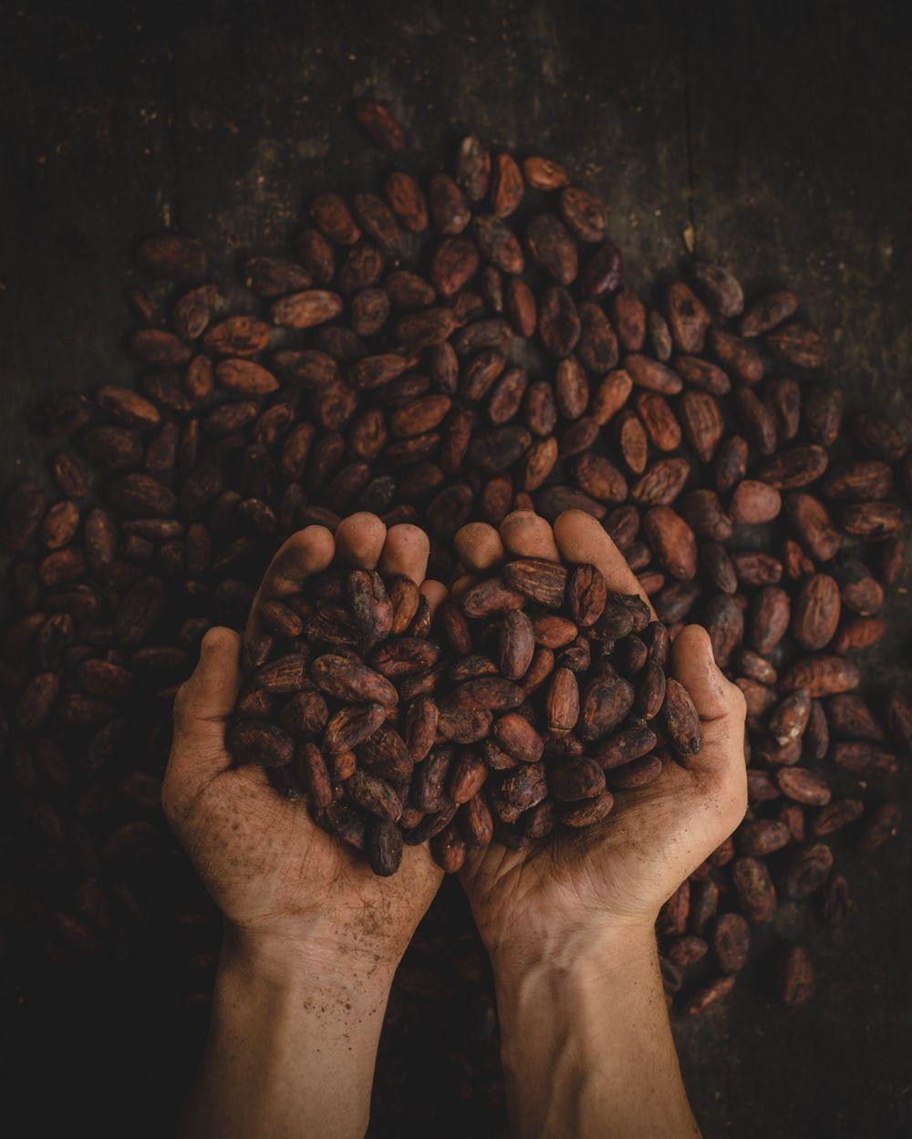 Cocoa Wallpapers - Top Free Cocoa Backgrounds - WallpaperAccess