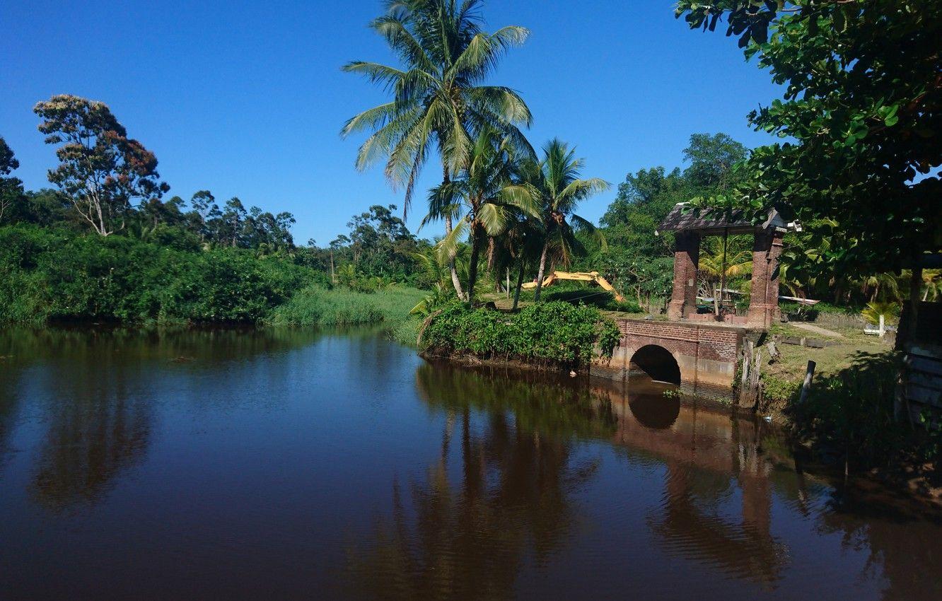 Suriname Wallpapers - Top Free Suriname Backgrounds - WallpaperAccess