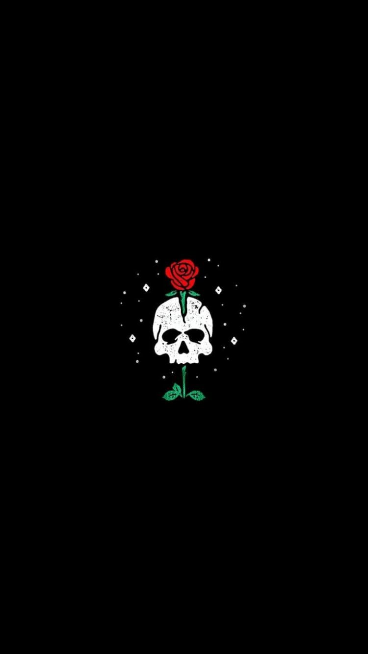 Aesthetic Emo Skull Wallpapers - Top Free Aesthetic Emo Skull ...