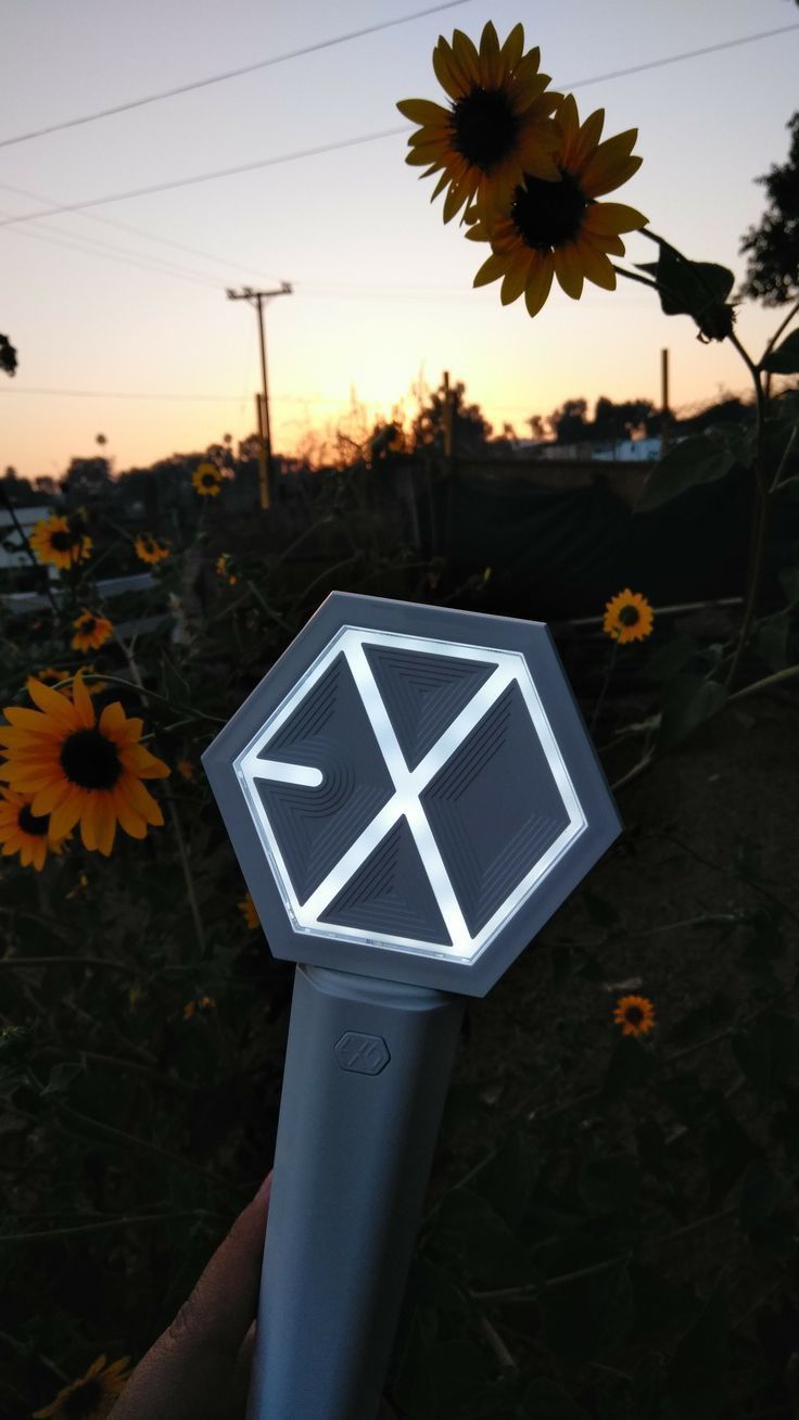 Exo Lightstick Wallpapers - Top Free Exo Lightstick Backgrounds ...