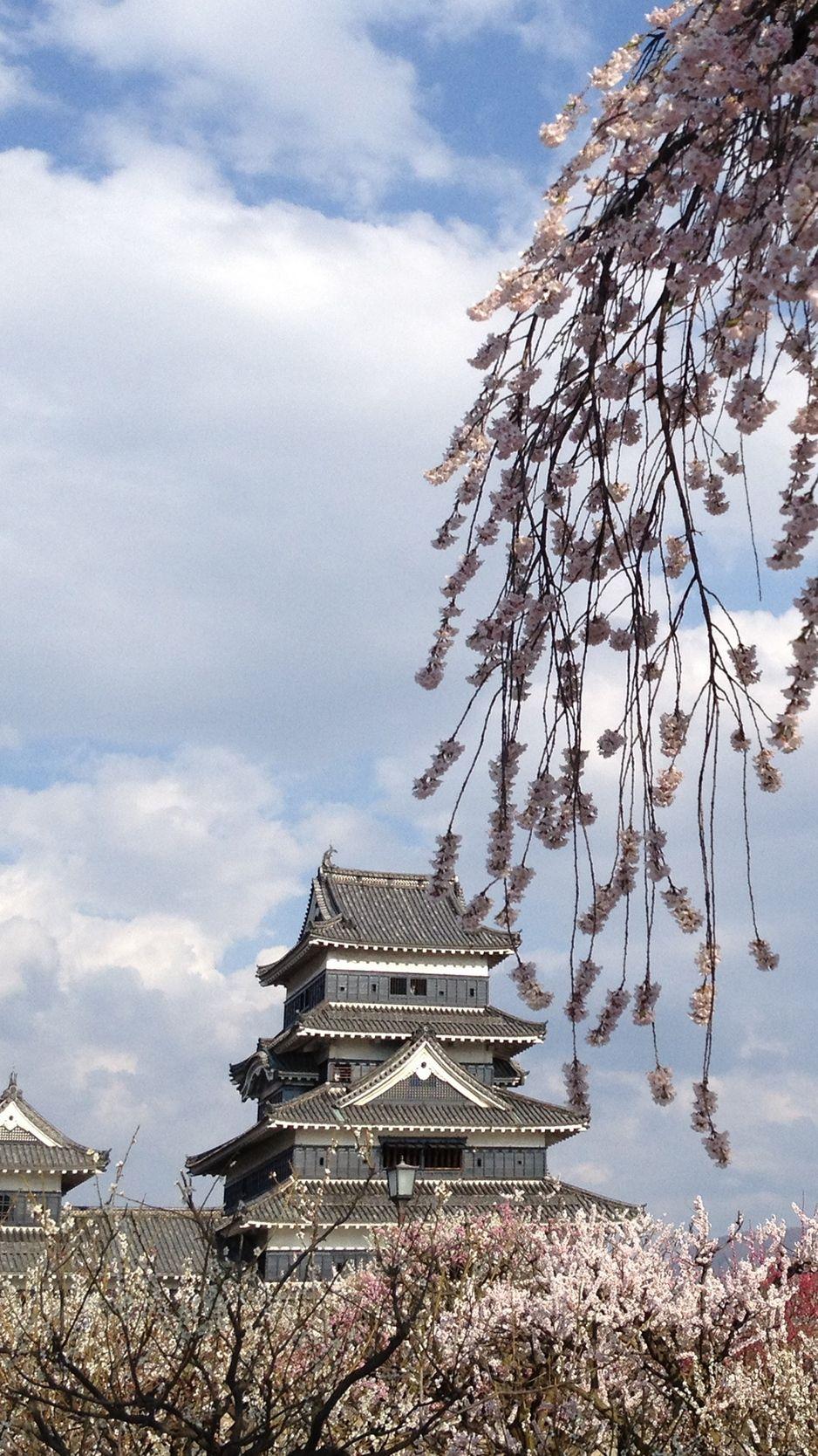 Chinese Tree Wallpapers - Top Free Chinese Tree Backgrounds ...