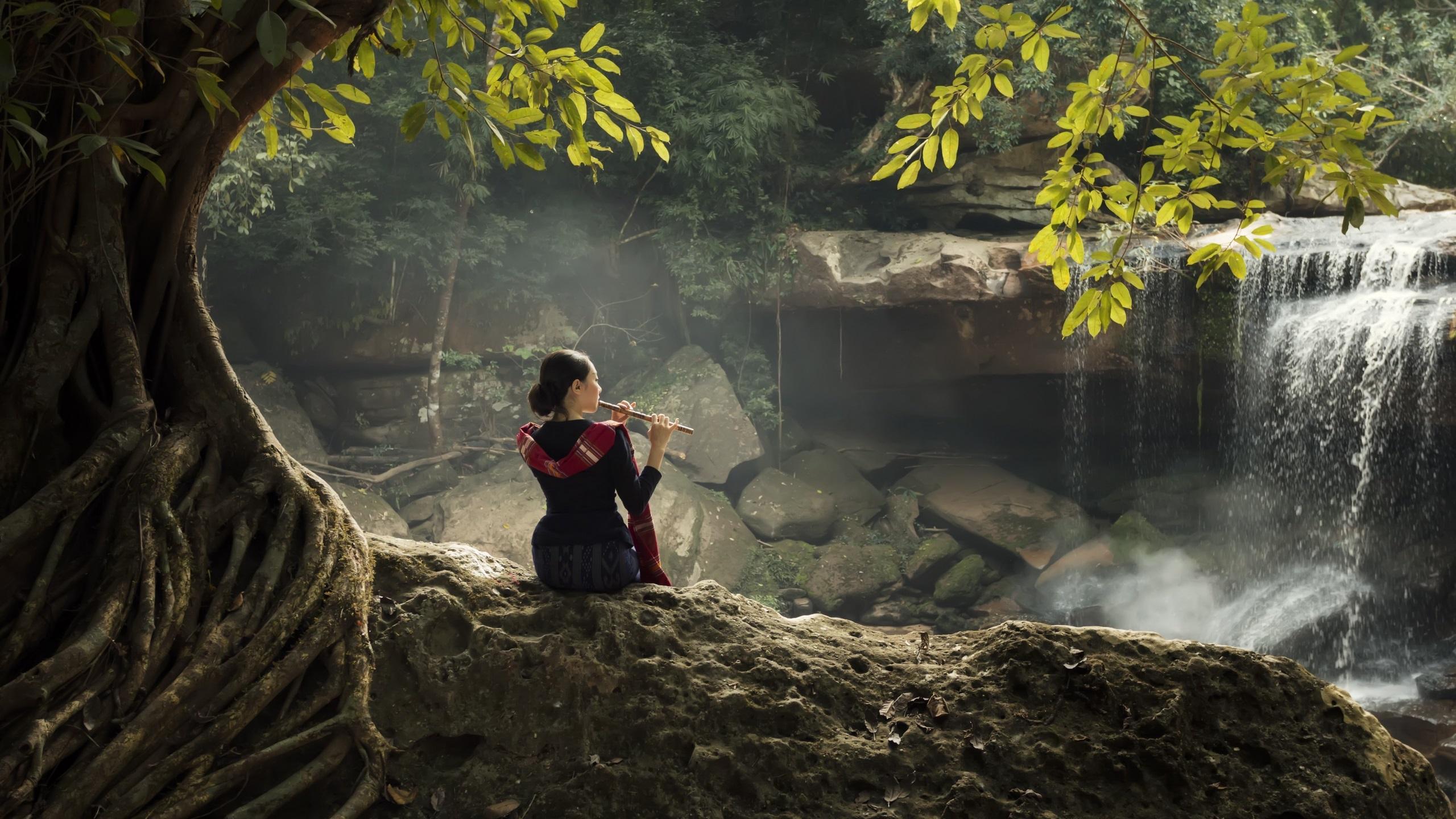 Chinese Tree Wallpapers - Top Free Chinese Tree Backgrounds ...