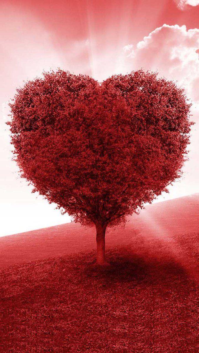 Heart Shape Wallpapers - Top Free Heart Shape Backgrounds - WallpaperAccess