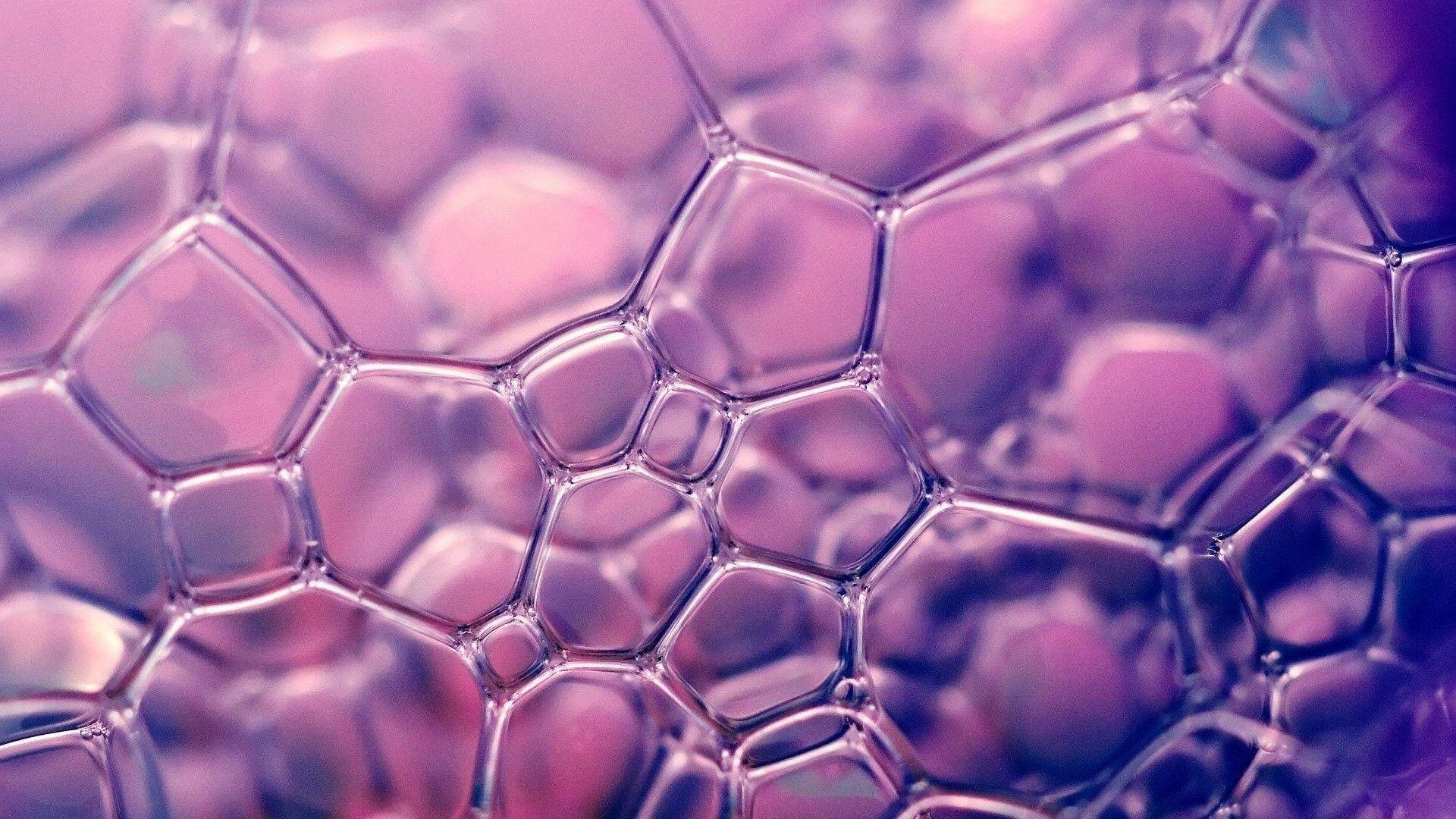 Soap Wallpapers - Top Free Soap Backgrounds - WallpaperAccess