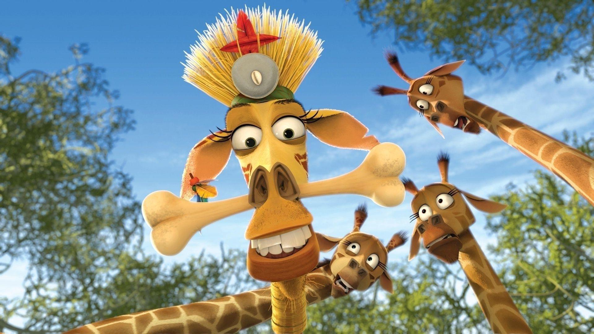 Madagascar Cartoon Wallpapers - Top Free Madagascar Cartoon Backgrounds ...