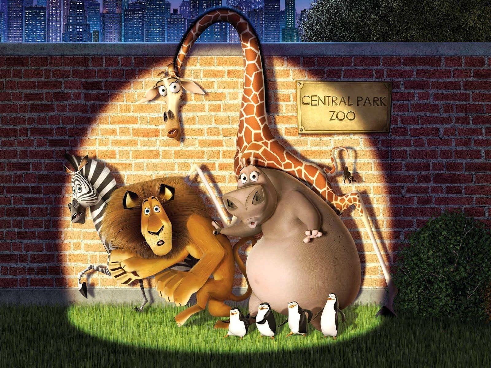 Madagascar Cartoon Wallpapers - Top Free Madagascar Cartoon Backgrounds ...