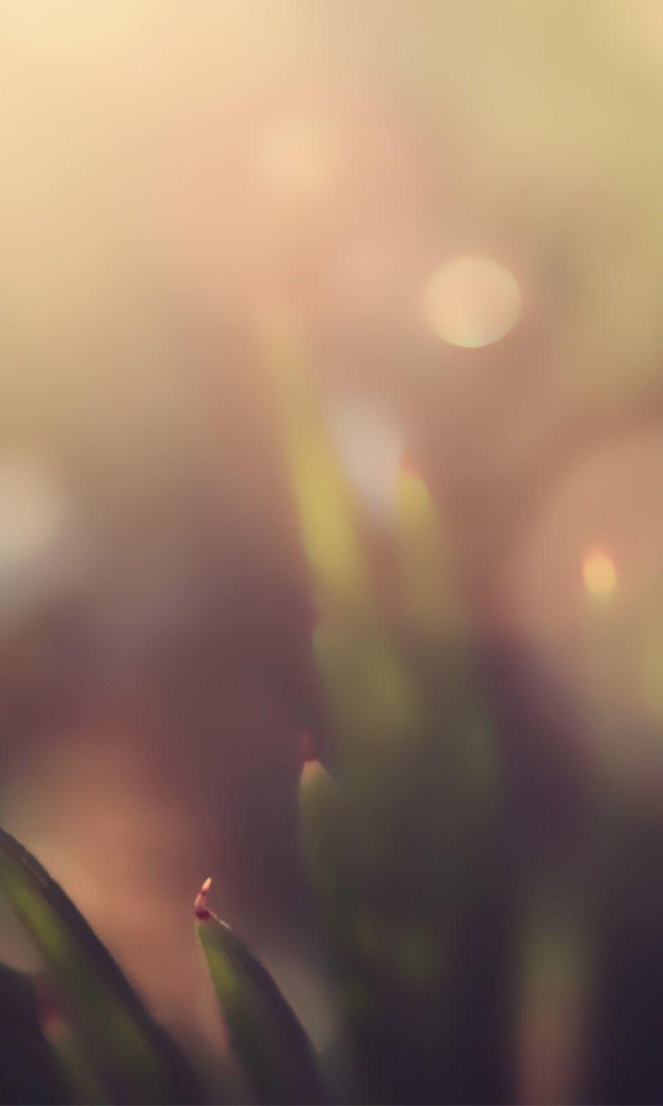 Ethereal Wallpapers - Top Free Ethereal Backgrounds - WallpaperAccess