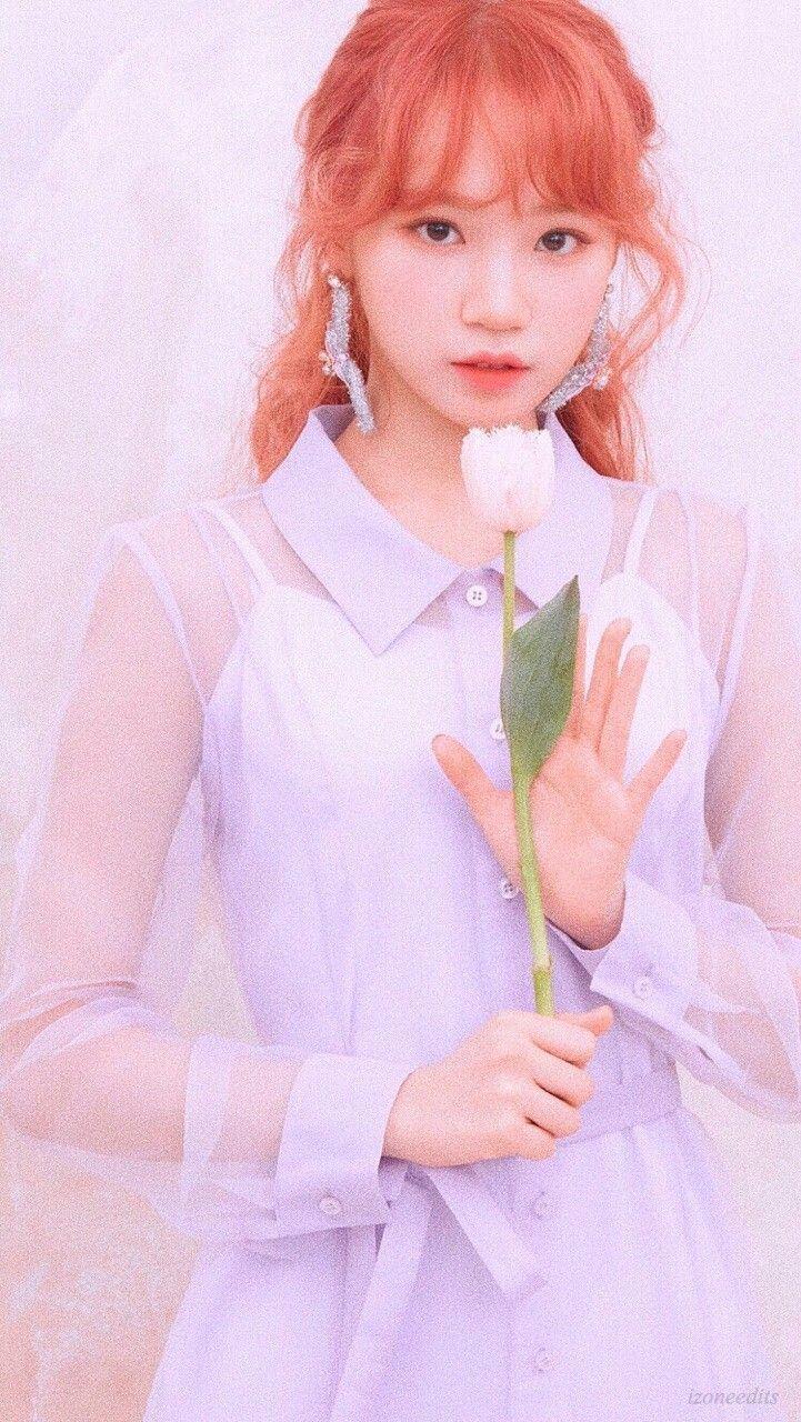 Sakura Miyawaki Wallpapers - Top Free Sakura Miyawaki Backgrounds - WallpaperAccess