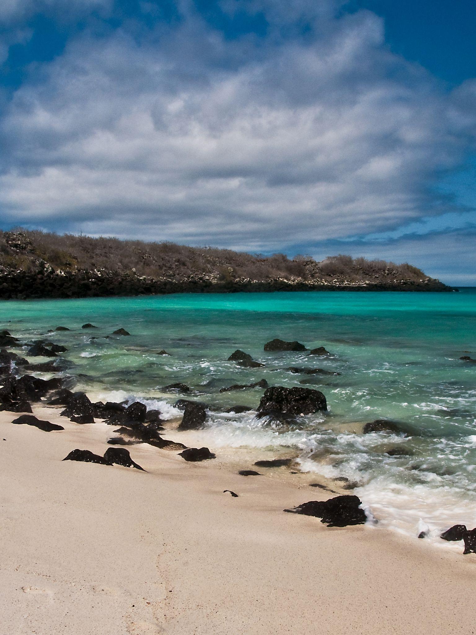 Galápagos Wallpapers - Top Free Galápagos Backgrounds - WallpaperAccess