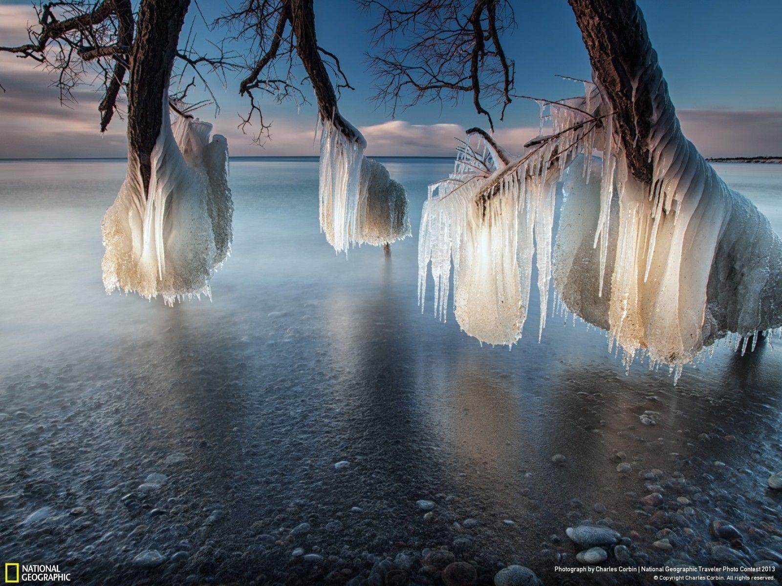 National Geographic Winter Wallpapers - Top Free National Geographic ...