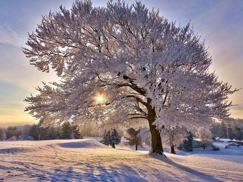 National Geographic Winter Wallpapers - Top Free National Geographic ... National Geographic Winter Wallpapers - Top Free National Geographic ...