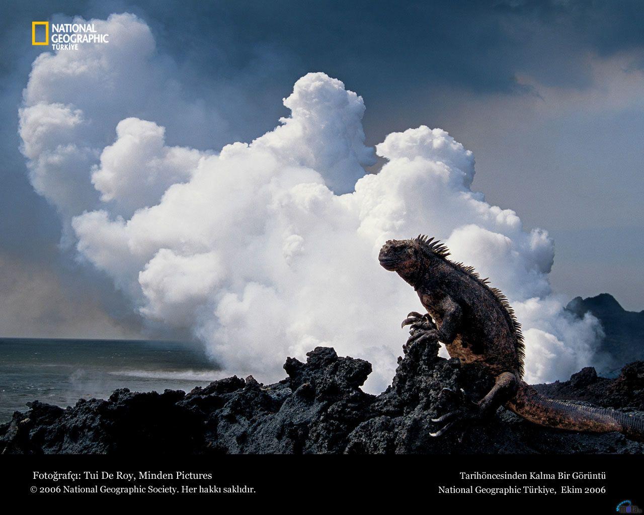 Galápagos Wallpapers - Top Free Galápagos Backgrounds - WallpaperAccess